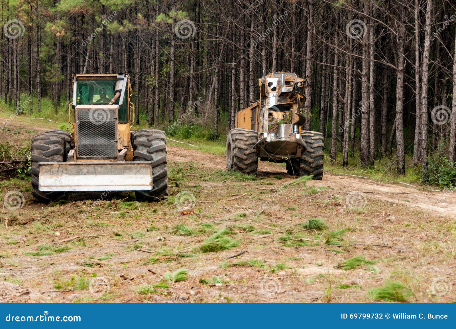 Logging stock photo. Image of lumber, alabama, mobile - 69799732