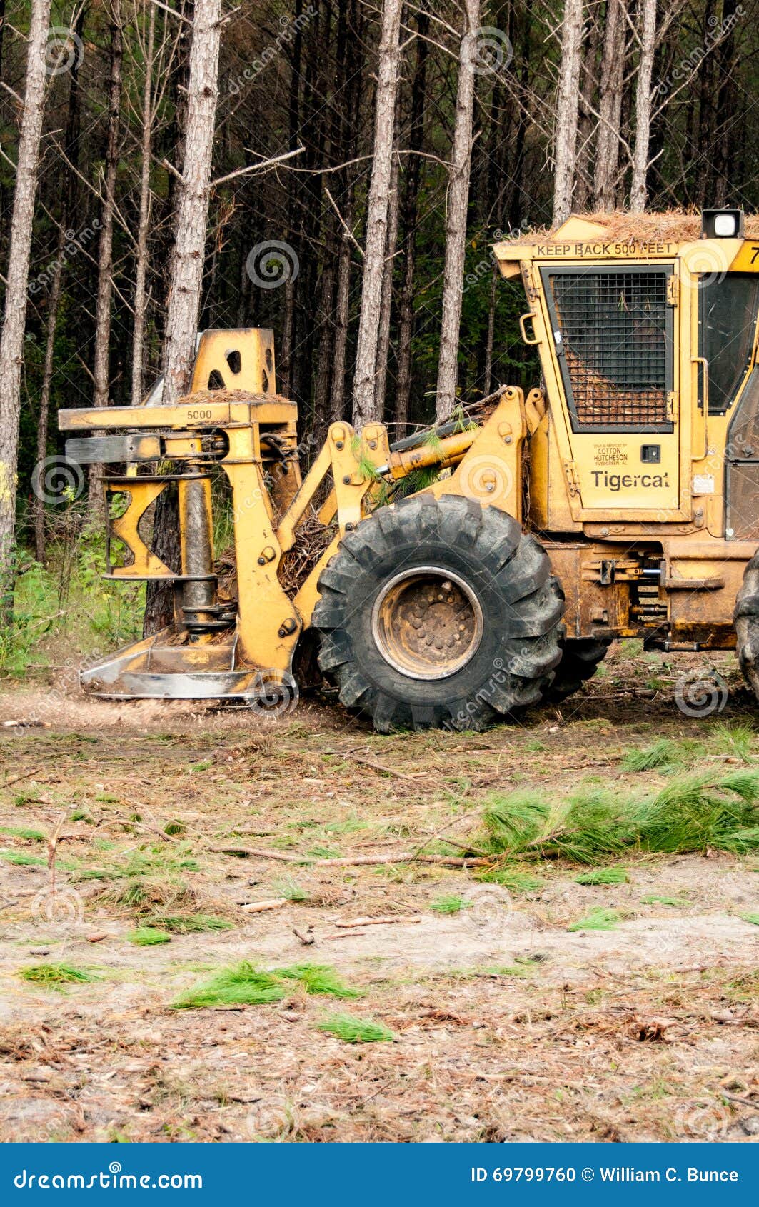 Logging editorial image. Image of harvester, forestry - 69799760