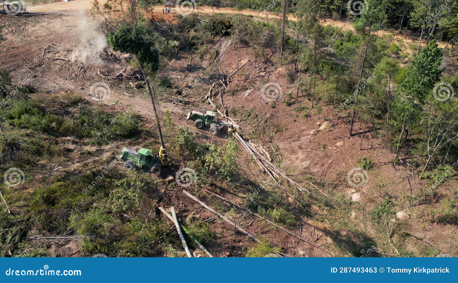Logging Operation - Deforestation Aerial View Stock Video - Video of ...