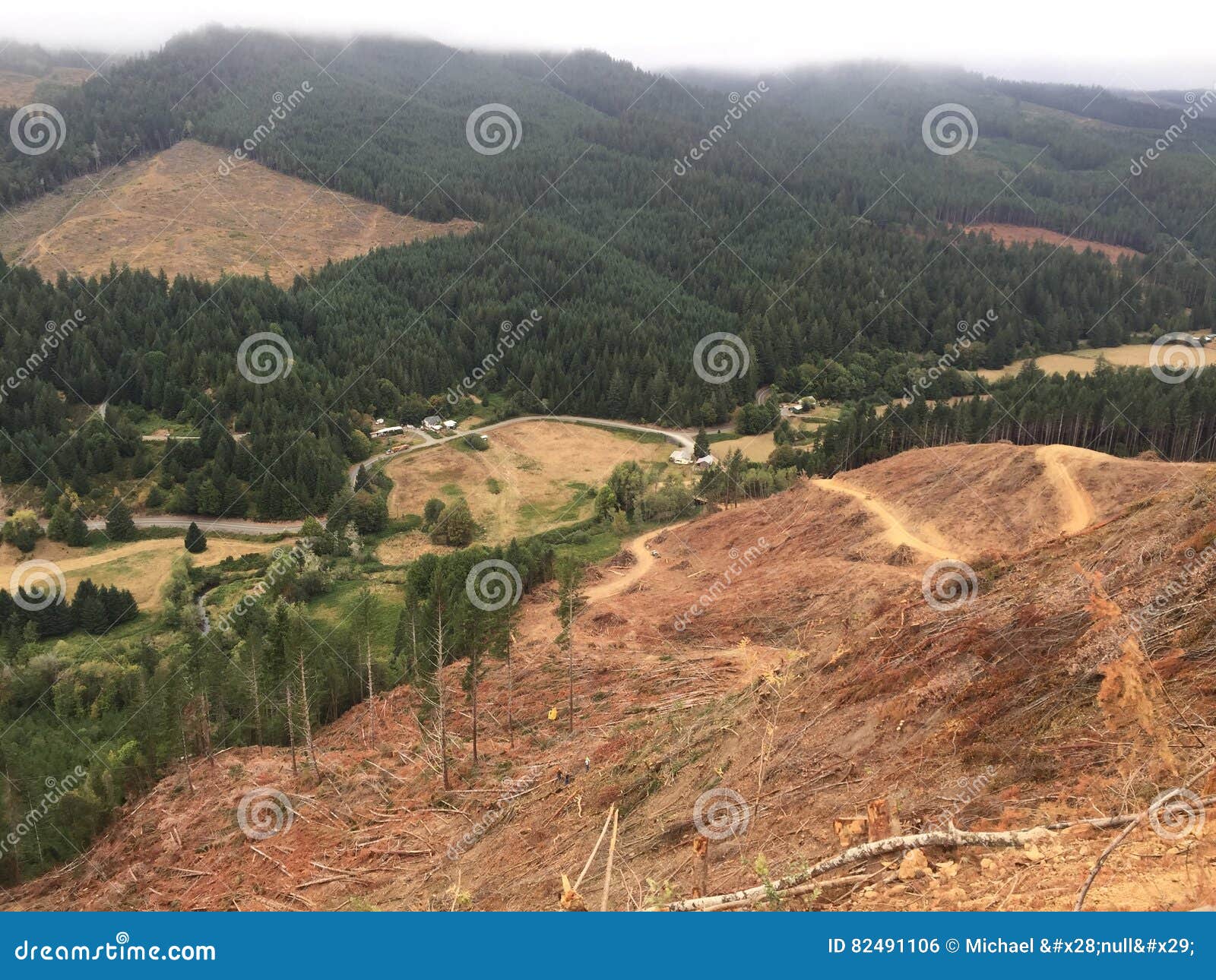 Logging! stock photo. Image of logging, sight, oregon - 82491106
