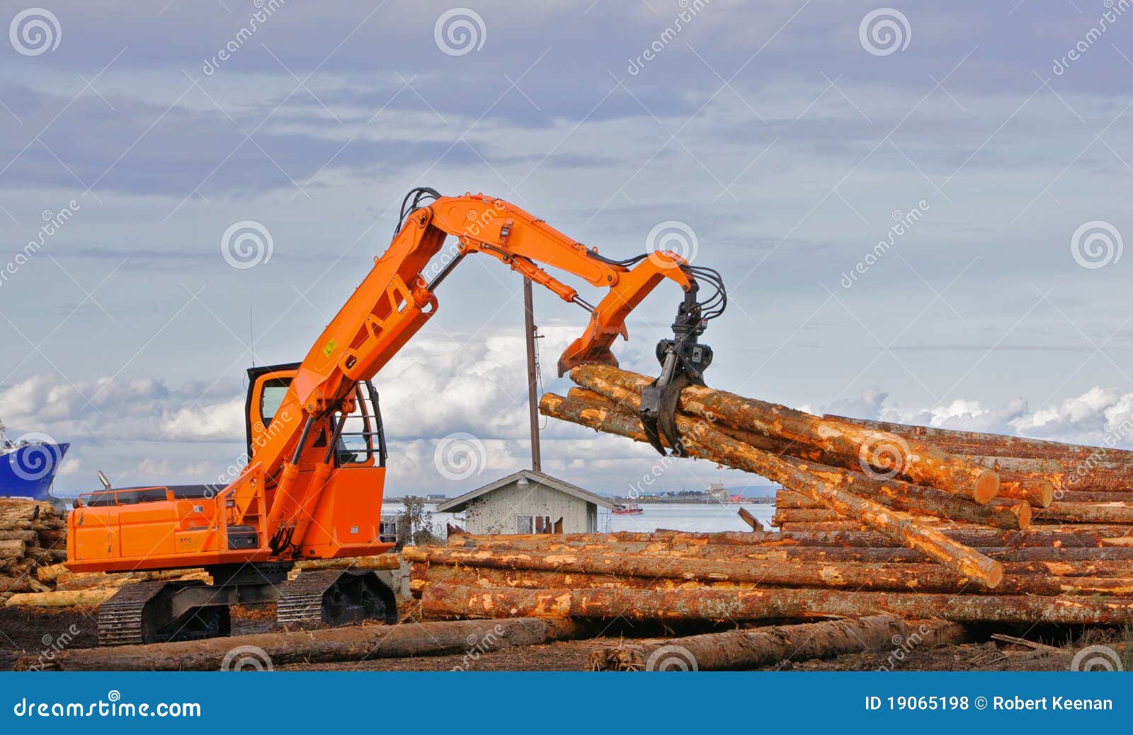 Logging Forklift Loading Royalty-Free Stock Image | CartoonDealer.com ...