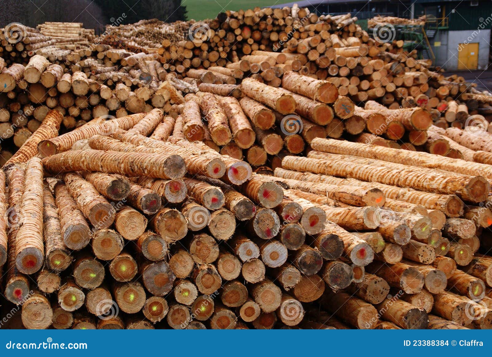 Logging plant stock photo. Image of panoramic, global - 23388384