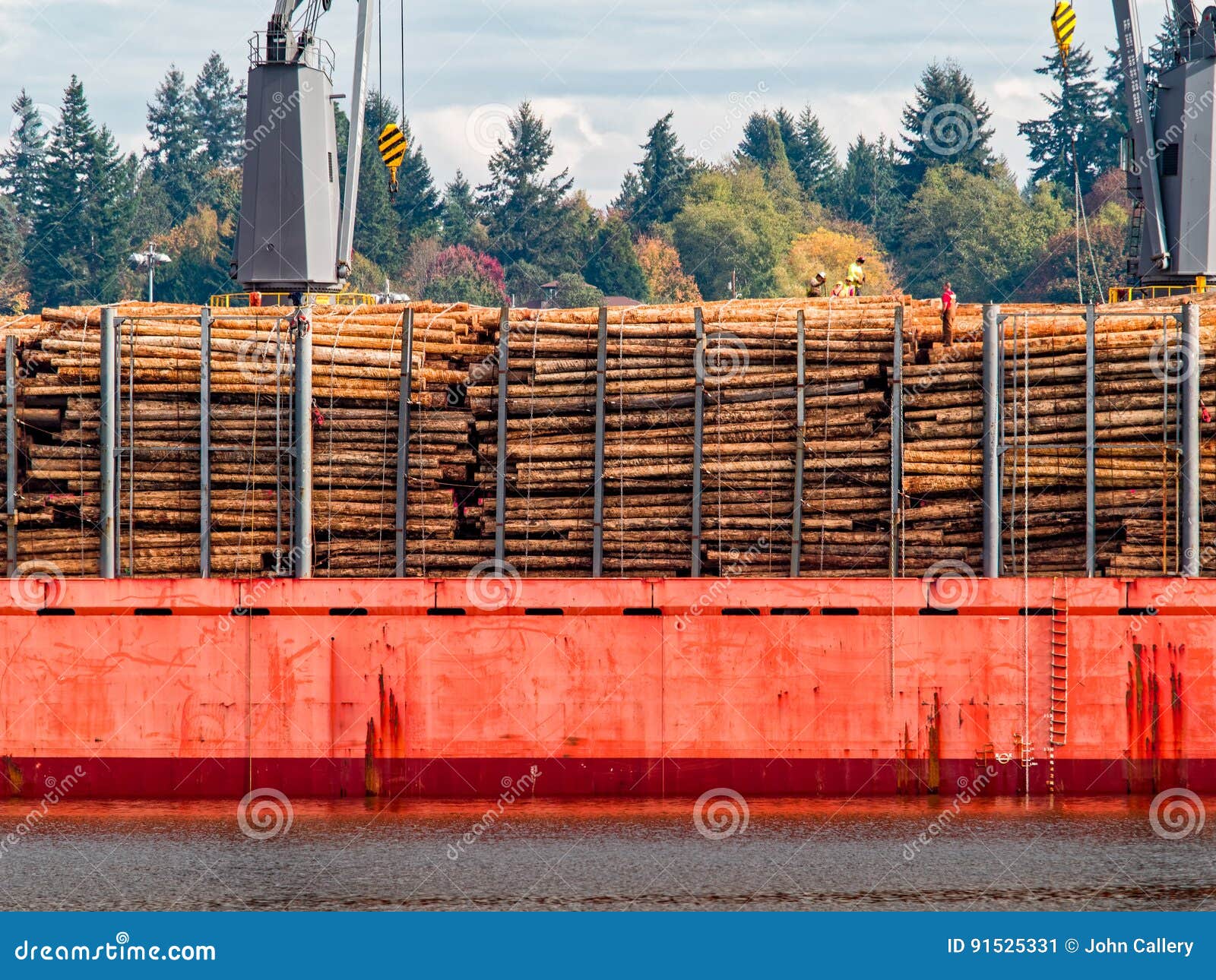 Logging at the Port editorial photo. Image of timber - 91525331