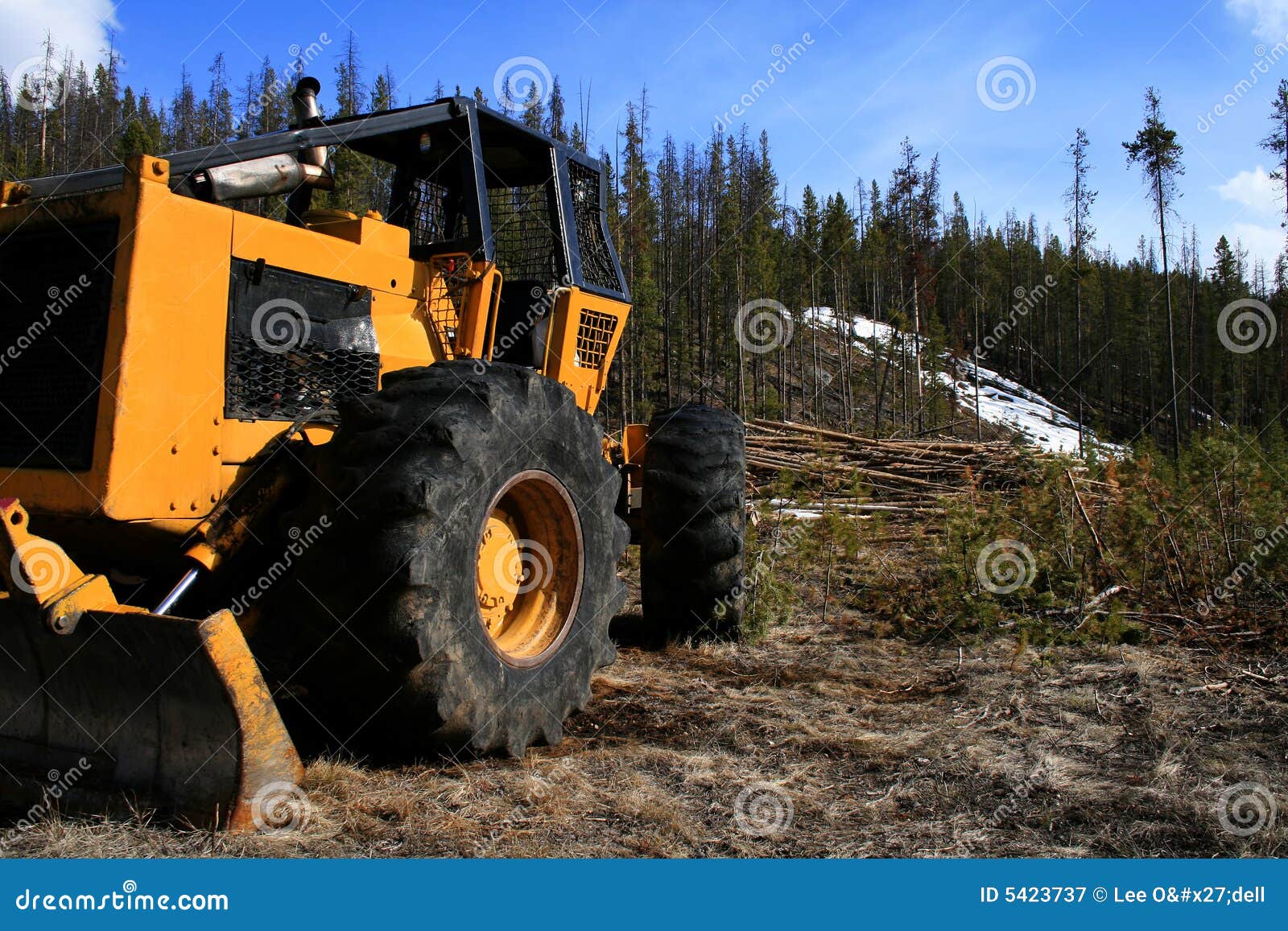Logging at Redfish Lake stock image. Image of resources - 5423737
