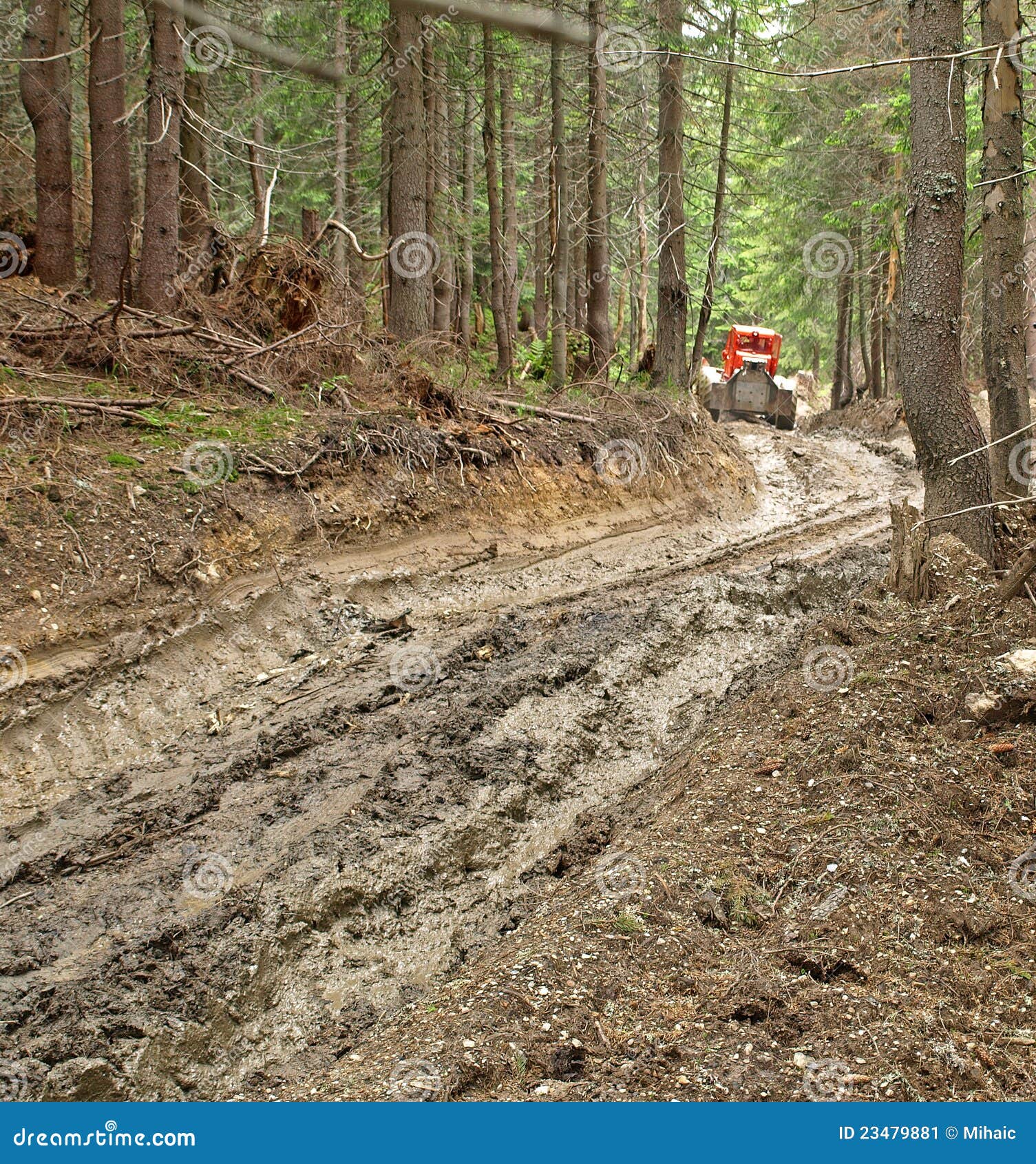 Logging Road with a Red Vehicle Stock Image - Image of woods, logging ...