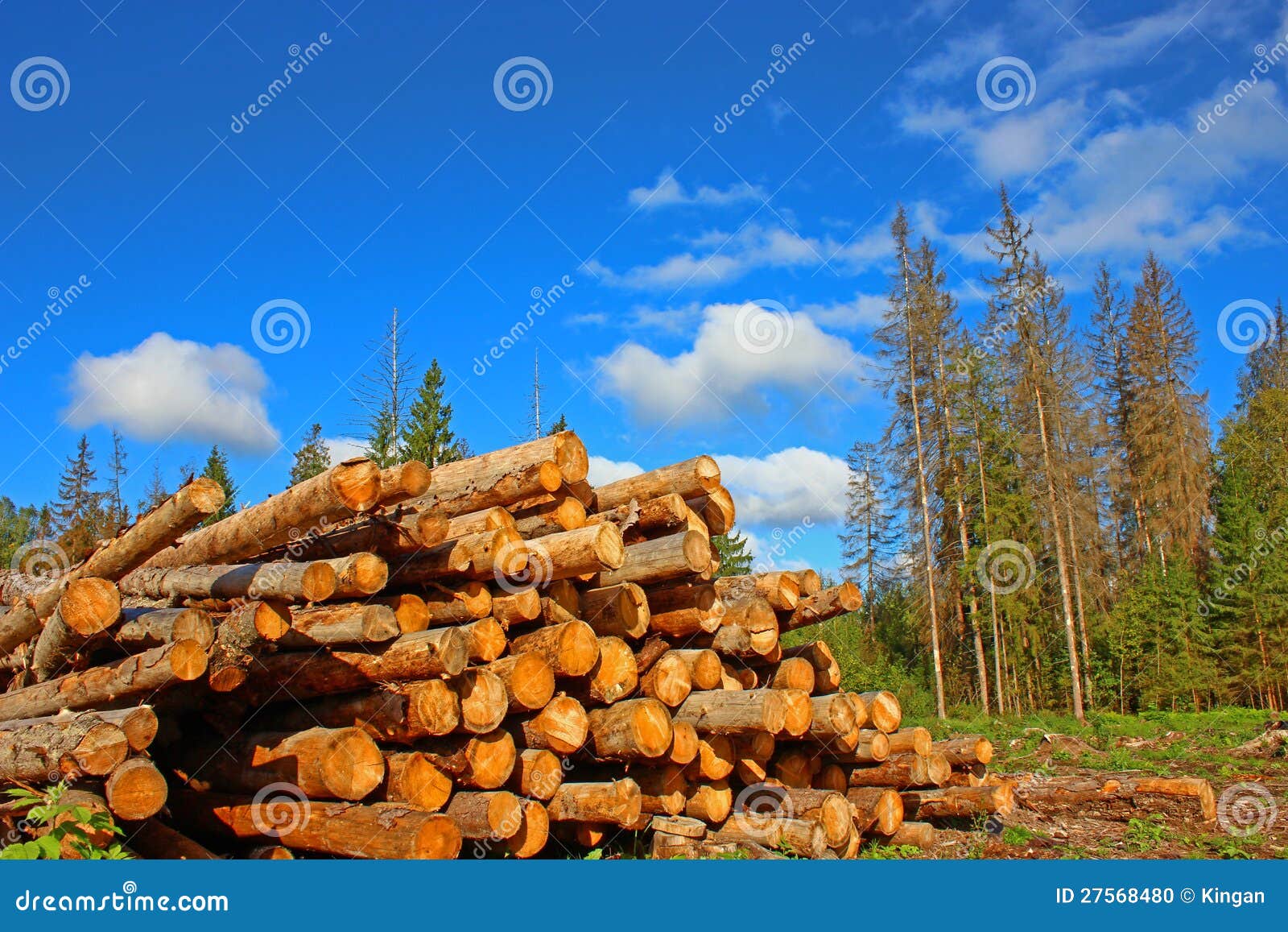 Logging in Russia stock photo. Image of processing, russia - 27568480