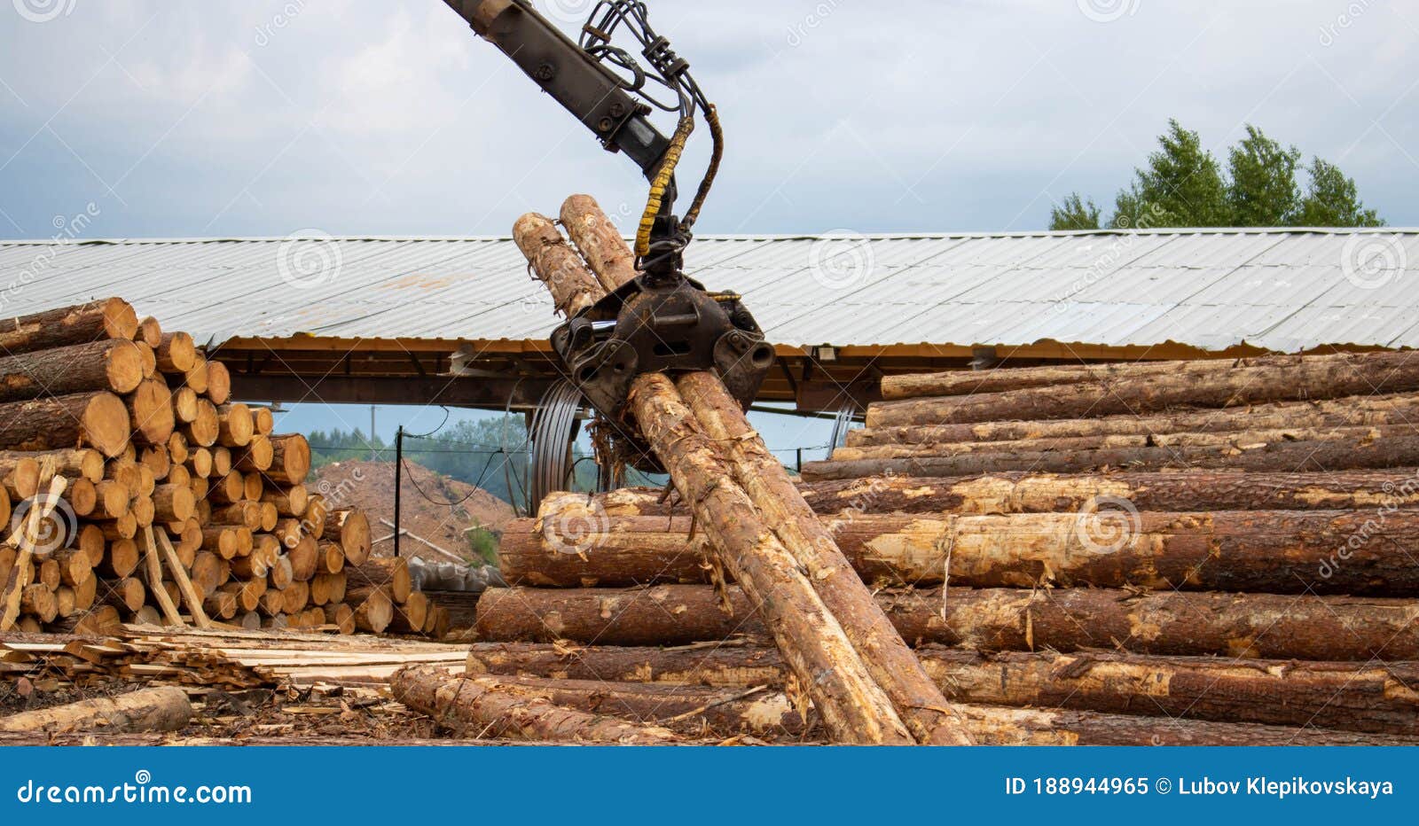 Logging, Sawmill. Manipulator For Loading Wood. The Loader Of Boards ...