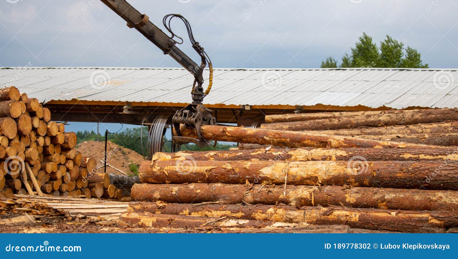 Logging, Sawmill. Manipulator For Loading Wood. The Loader Of Boards ...