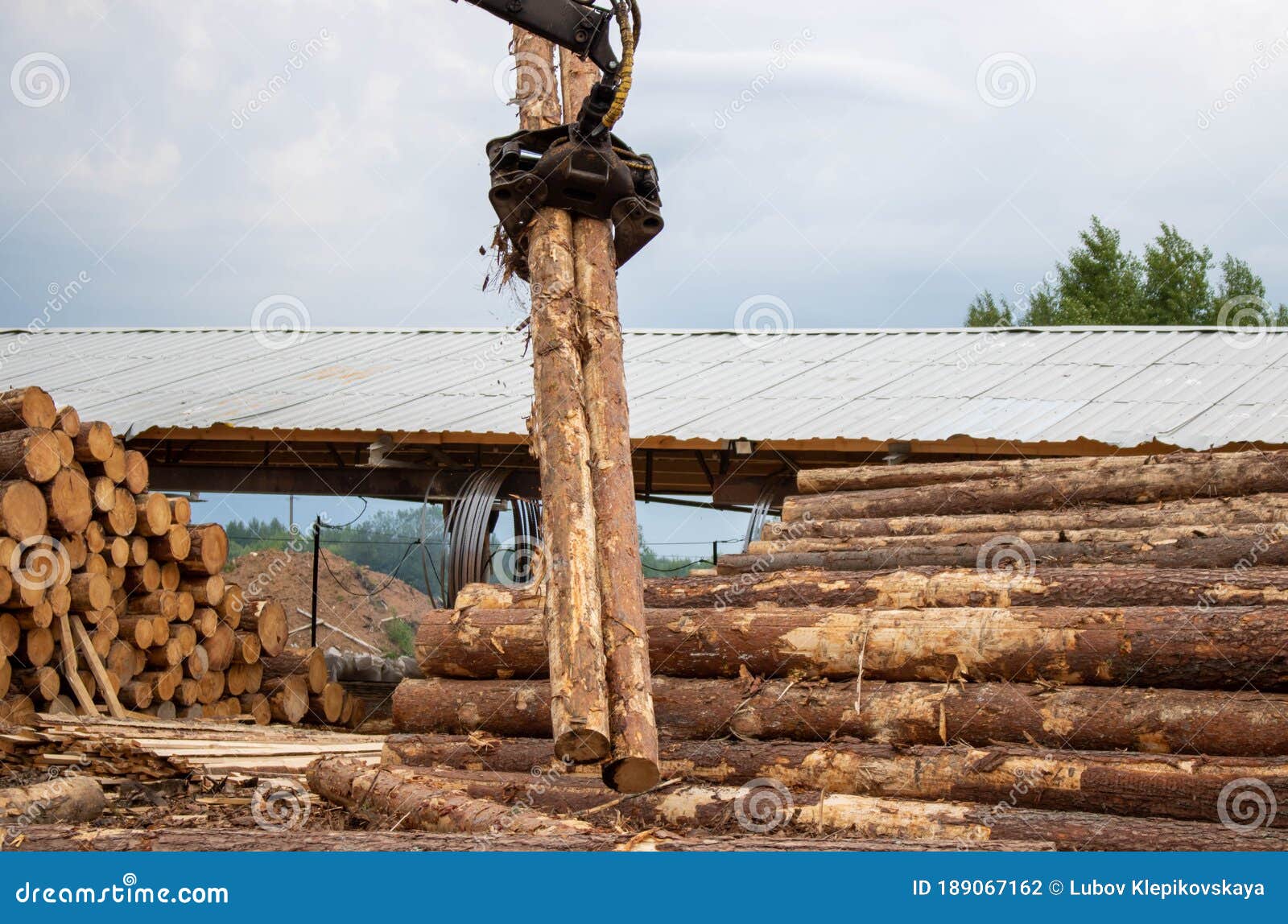 Logging, Sawmill. Manipulator For Loading Wood. The Loader Of Boards ...