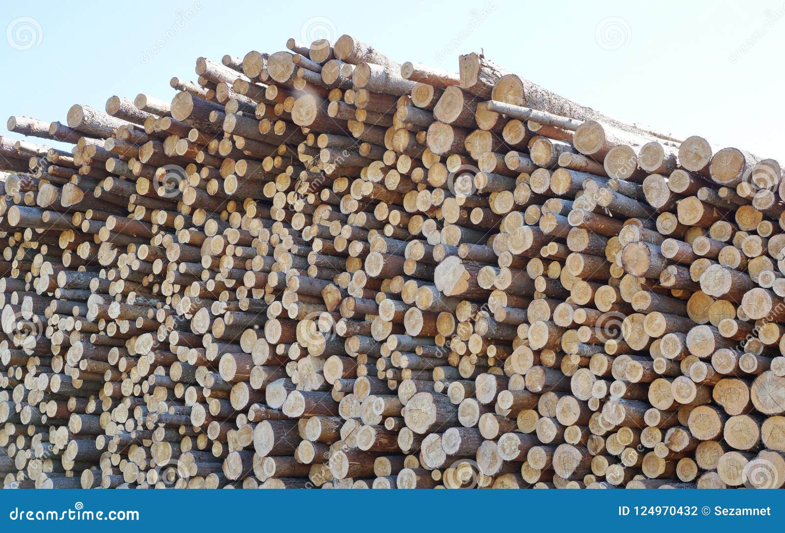 An Old Logging Rail Cart Stock Image | CartoonDealer.com #171743485