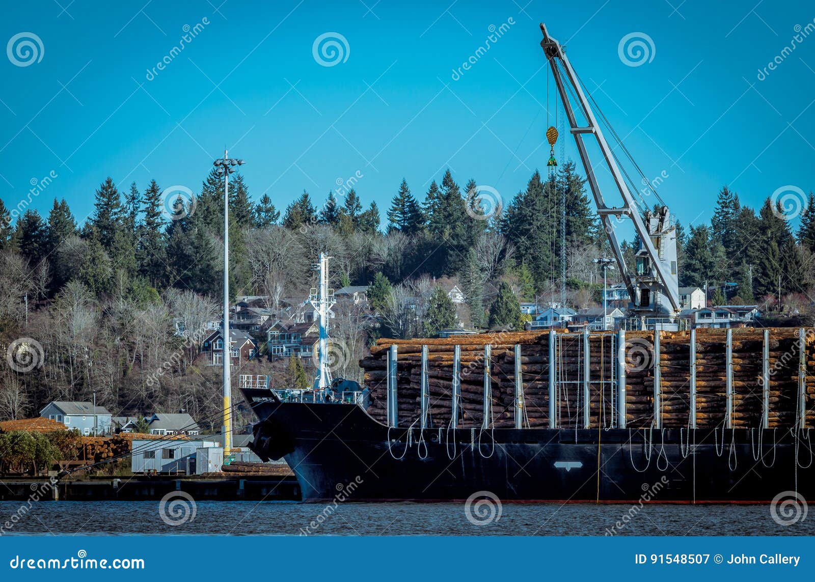 Logging Ship at Port stock image. Image of ocean, port - 91548507
