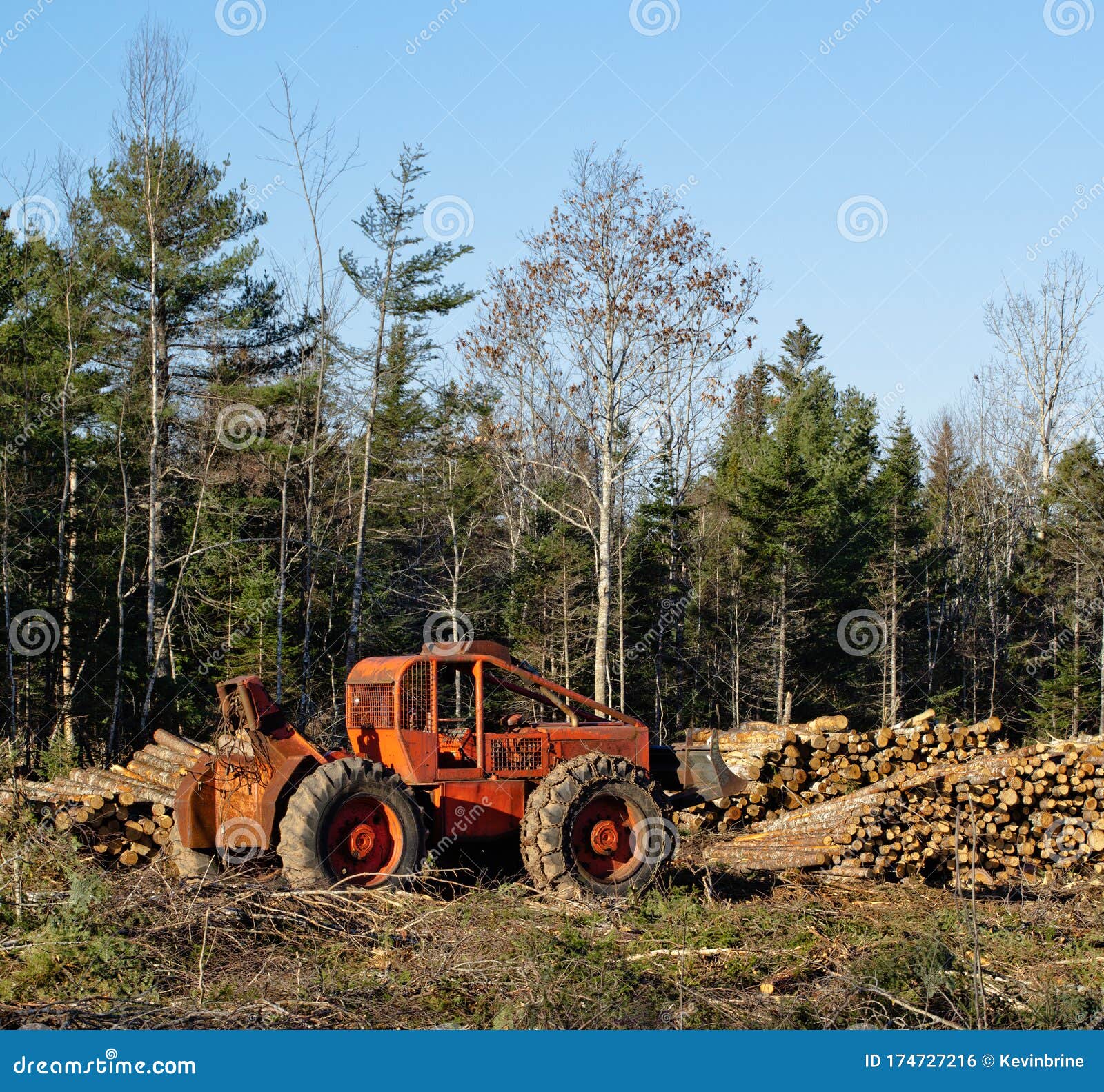 Logging Skidder stock photo. Image of lumber, heavy - 174727216