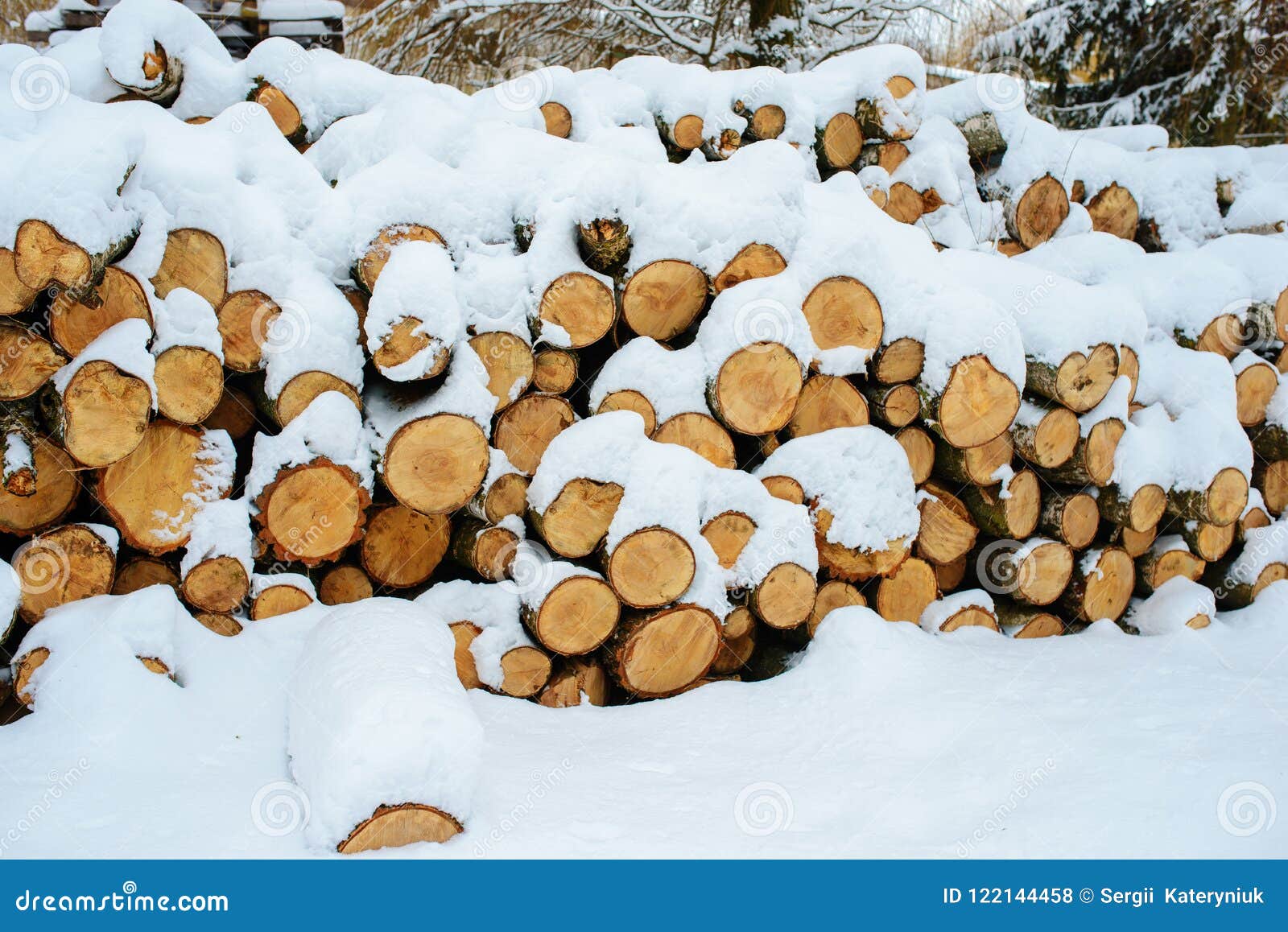 Logging Stack in the Forest during the Winter Stock Photo - Image of ... Logging Stack in the Forest during the Winter Stock Photo - Image of ...