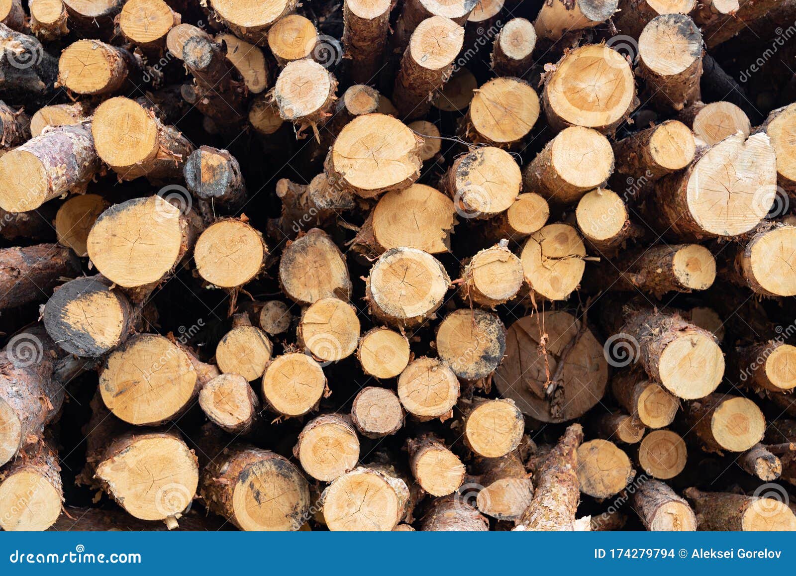 Logging Timber of Various Thickness Folded Stock Photo - Image of ...
