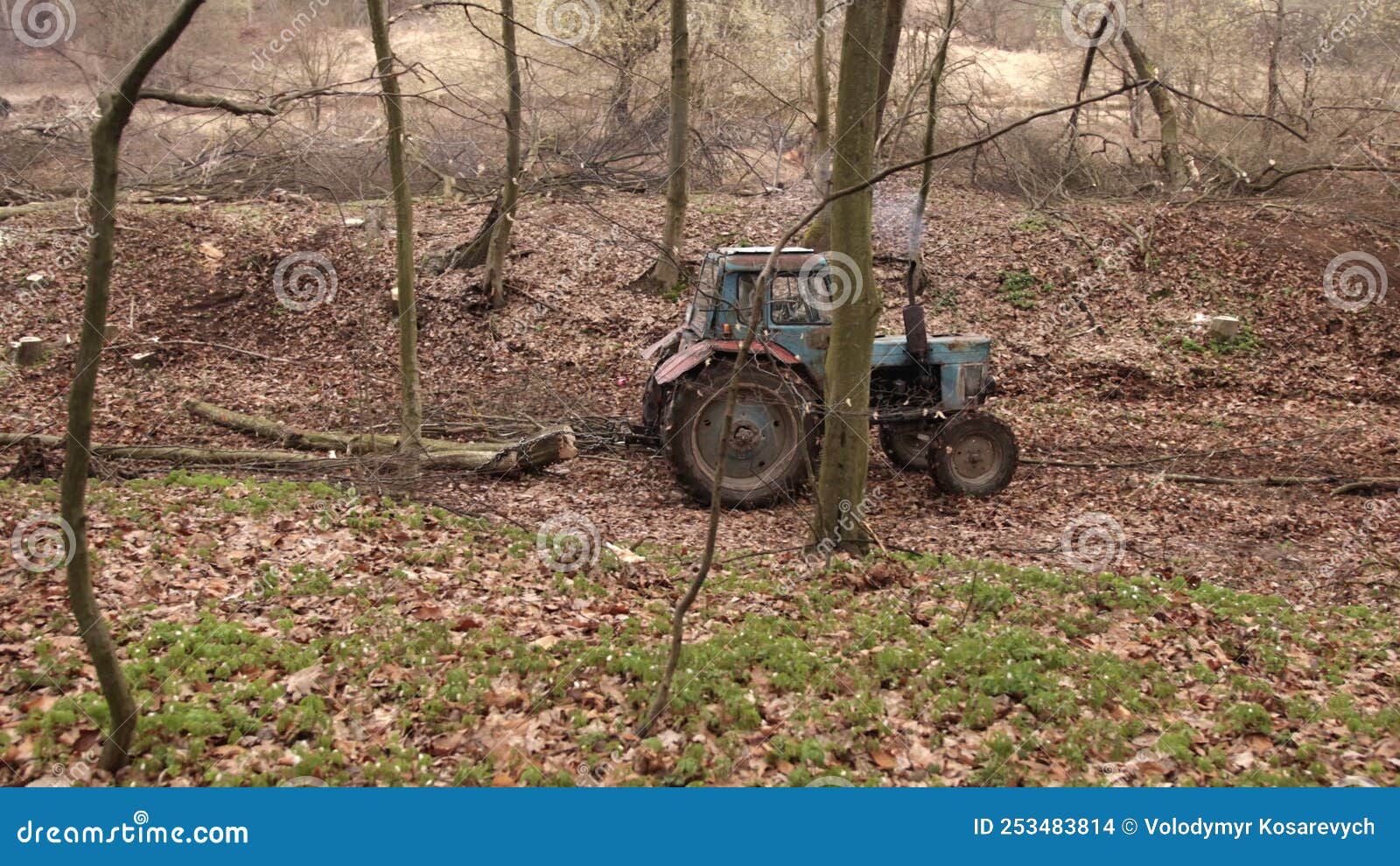 Logging Tractor on Forest Road. Pulling Tree Trunk with Truck. Tractor ...