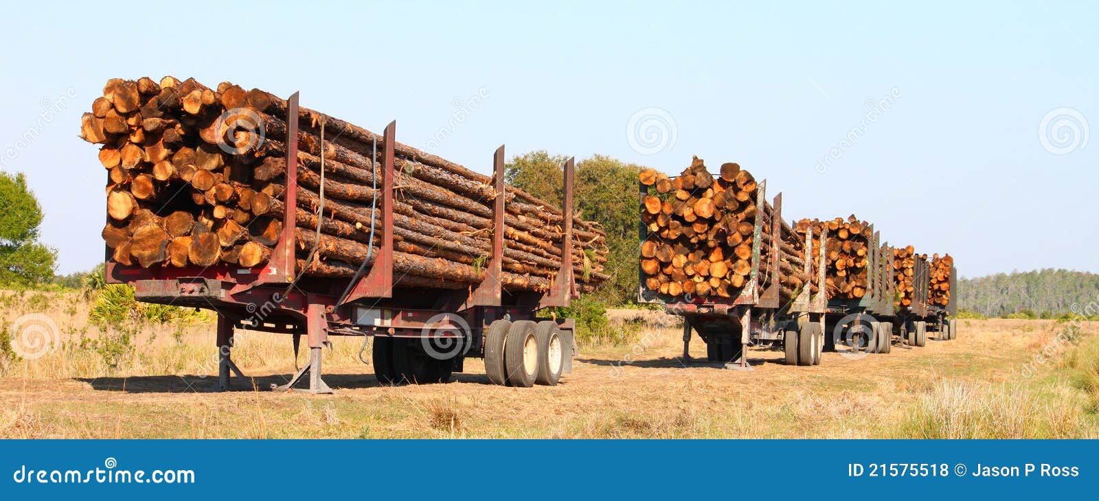 Logging Trailers - Florida stock photo. Image of destruction - 21575518