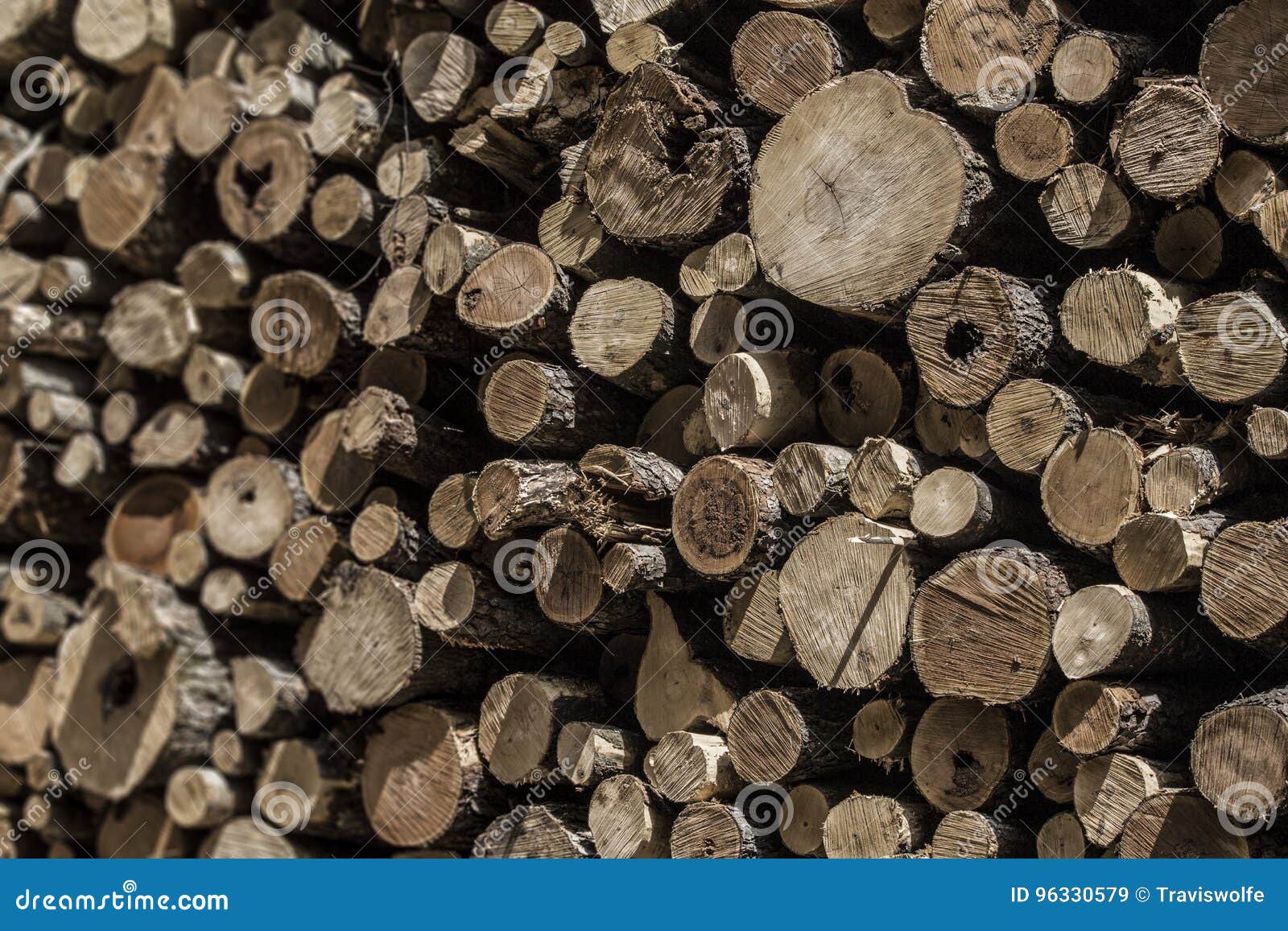 Logging Tree Stump Grain Textures Deforestation. Stock Image - Image of ...