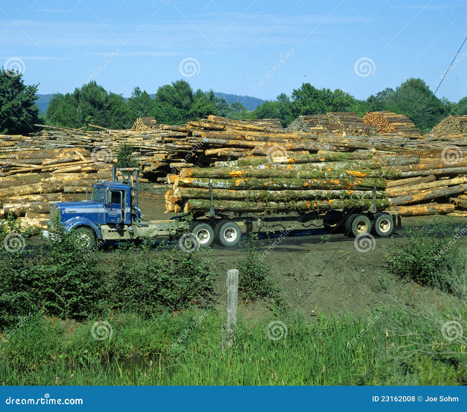 Logging truck editorial stock photo. Image of logging - 23162008