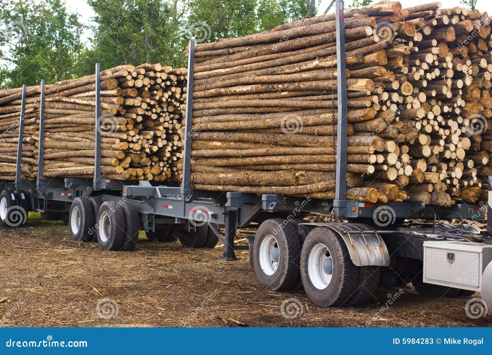Logging truck stock image. Image of stack, truck, pile - 5984283