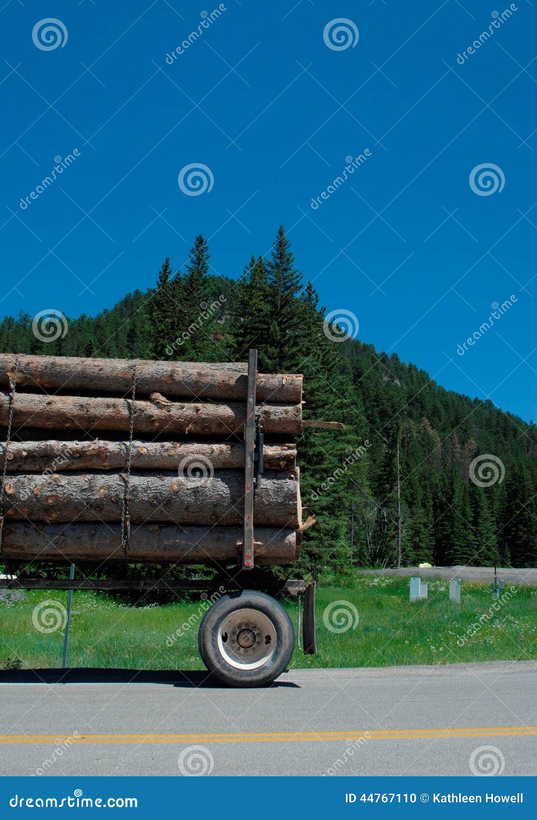 Logging Truck stock photo. Image of road, pine, tire - 44767110