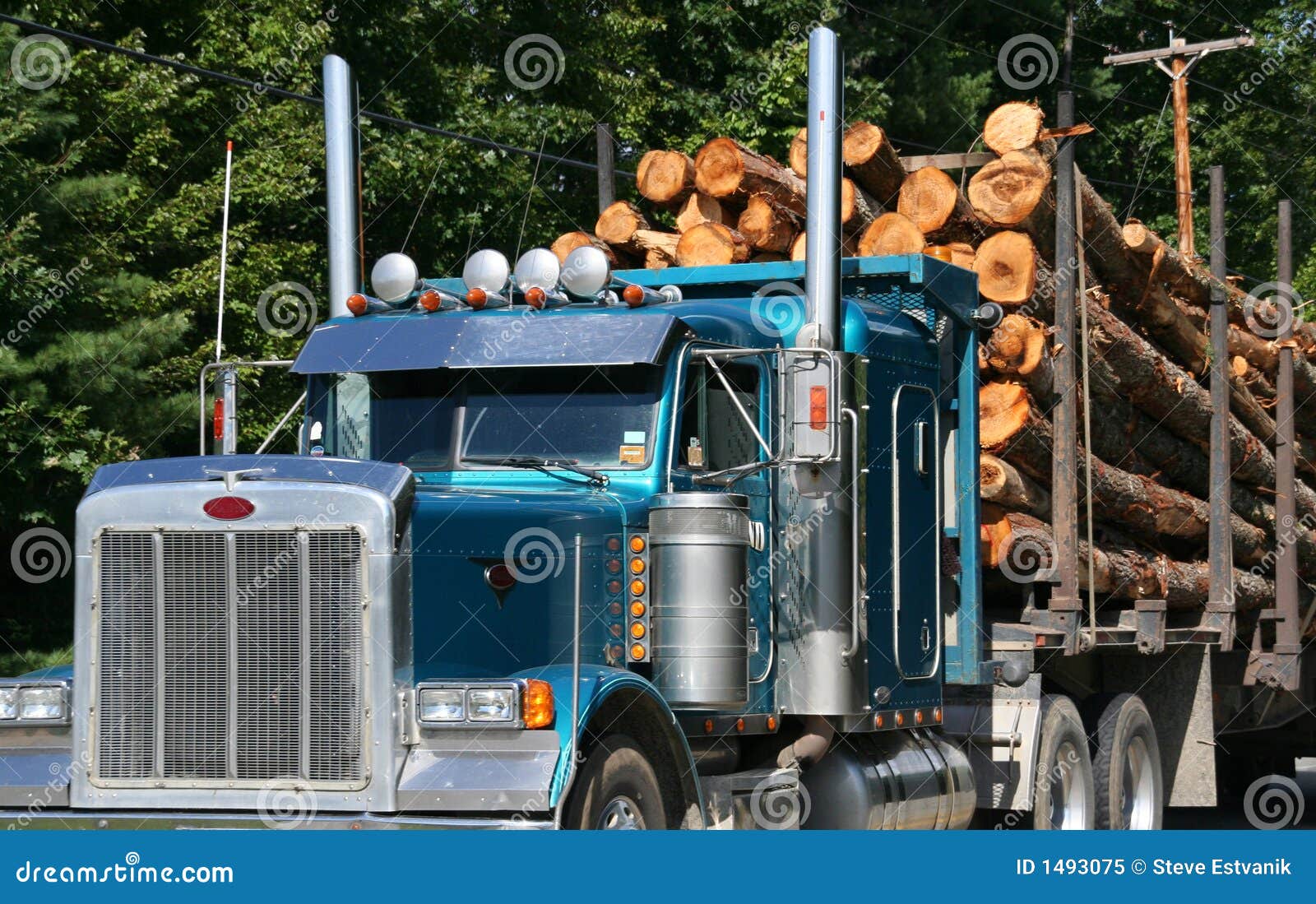 Logging Truck with Full Load. Stock Image - Image of logging, street ...