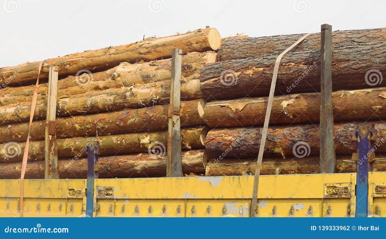 Logging Truck with Full Load of Cut Trees, Full Body Log Truck Stock ...