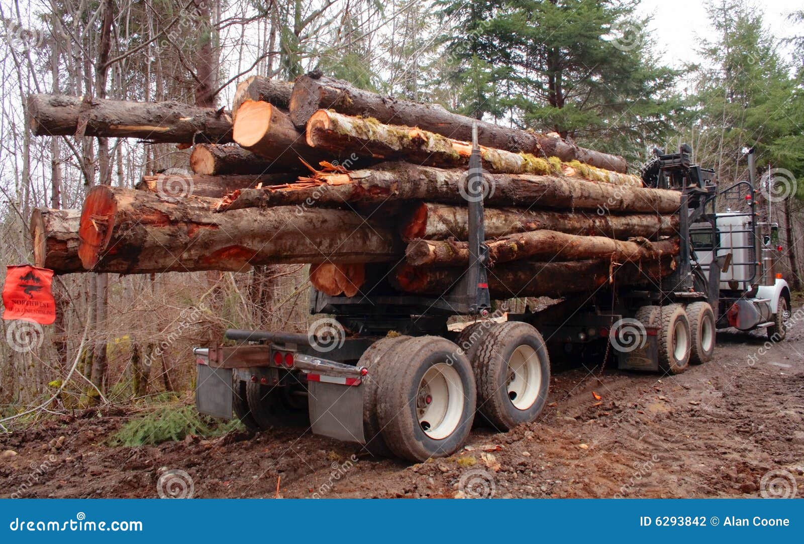 Logging Truck Loaded stock photo. Image of trees, lumber - 6293842