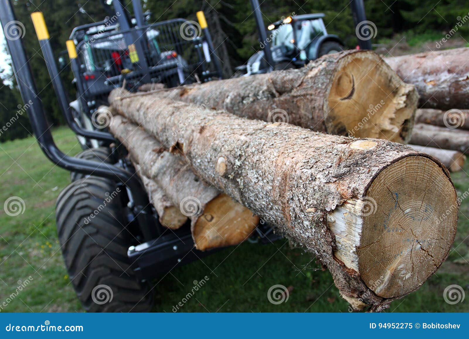 Logging Truck Loaded stock image. Image of trees, work - 94952275