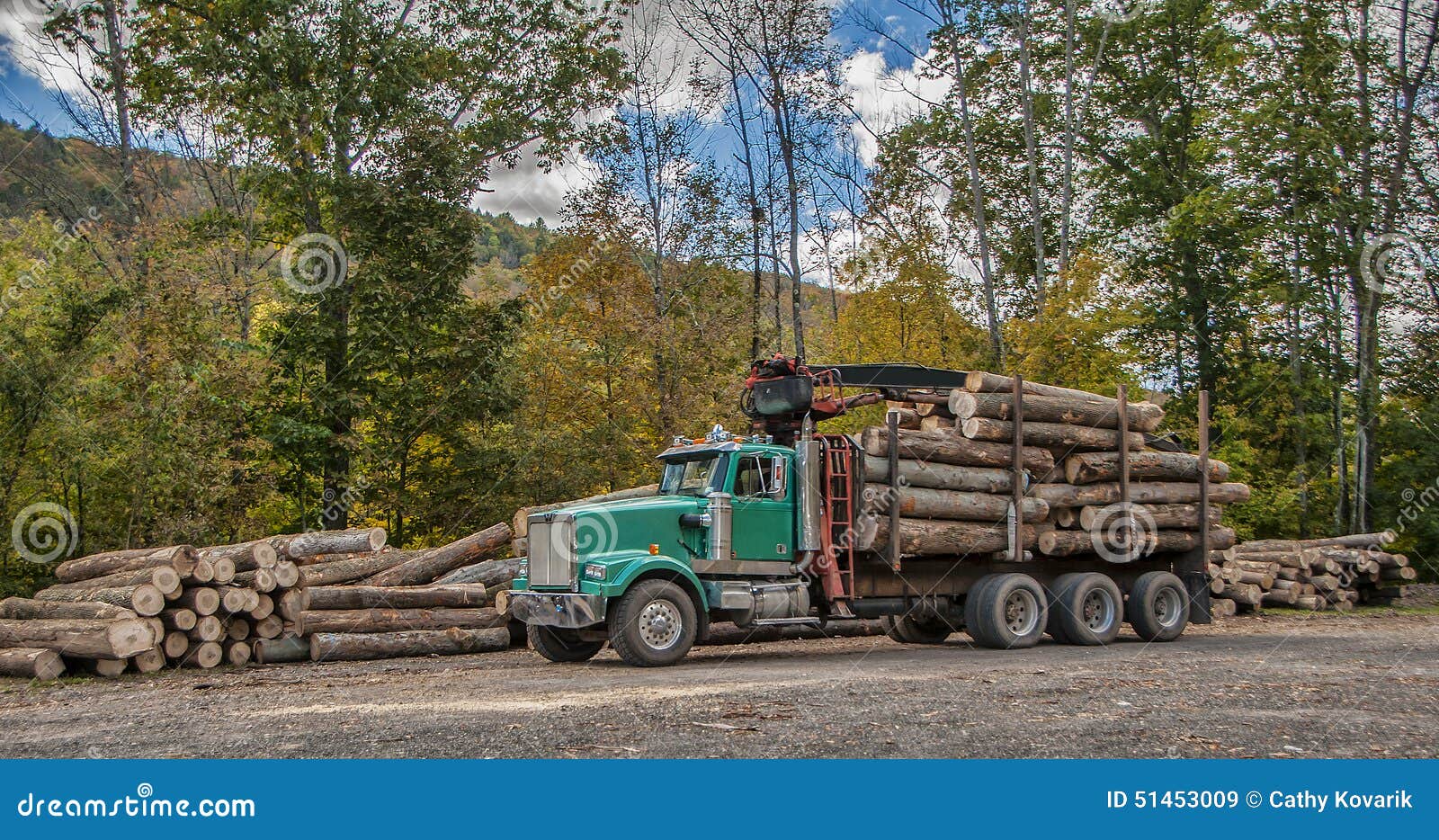 Logging stock image. Image of blue, lumber, truck, stacked - 51453009