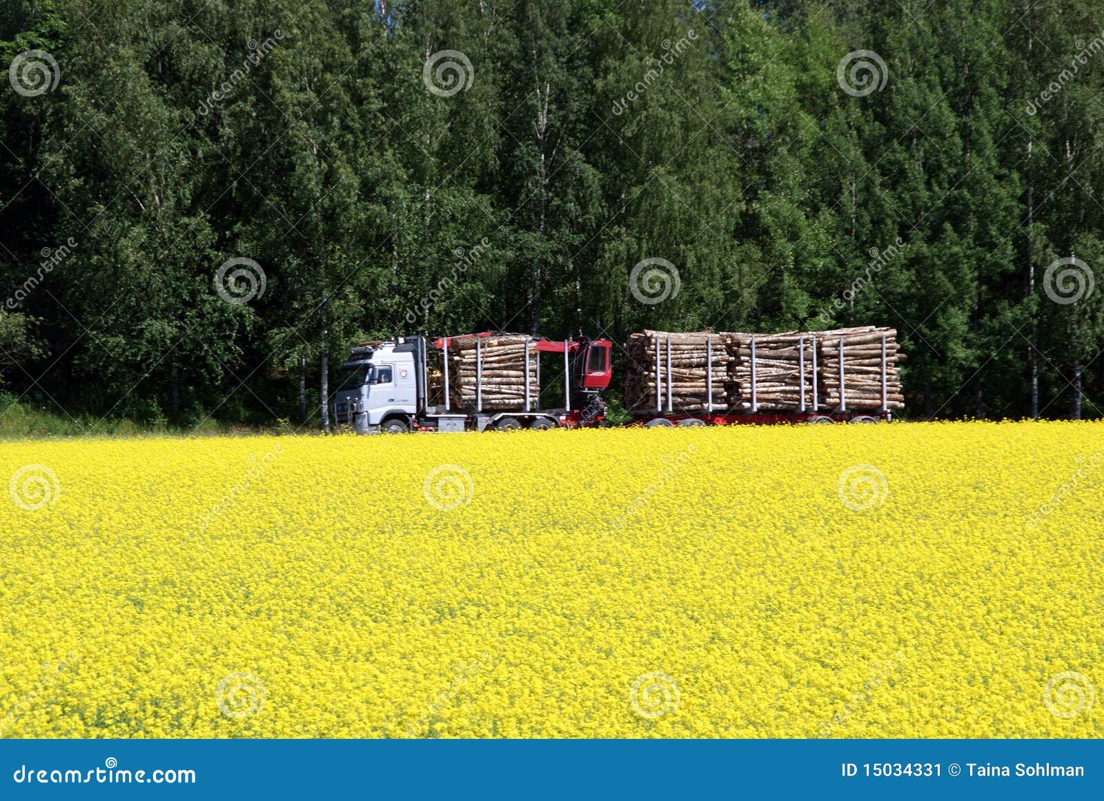 Logging Truck and Rapeseed Field Stock Image - Image of power, forestry ...