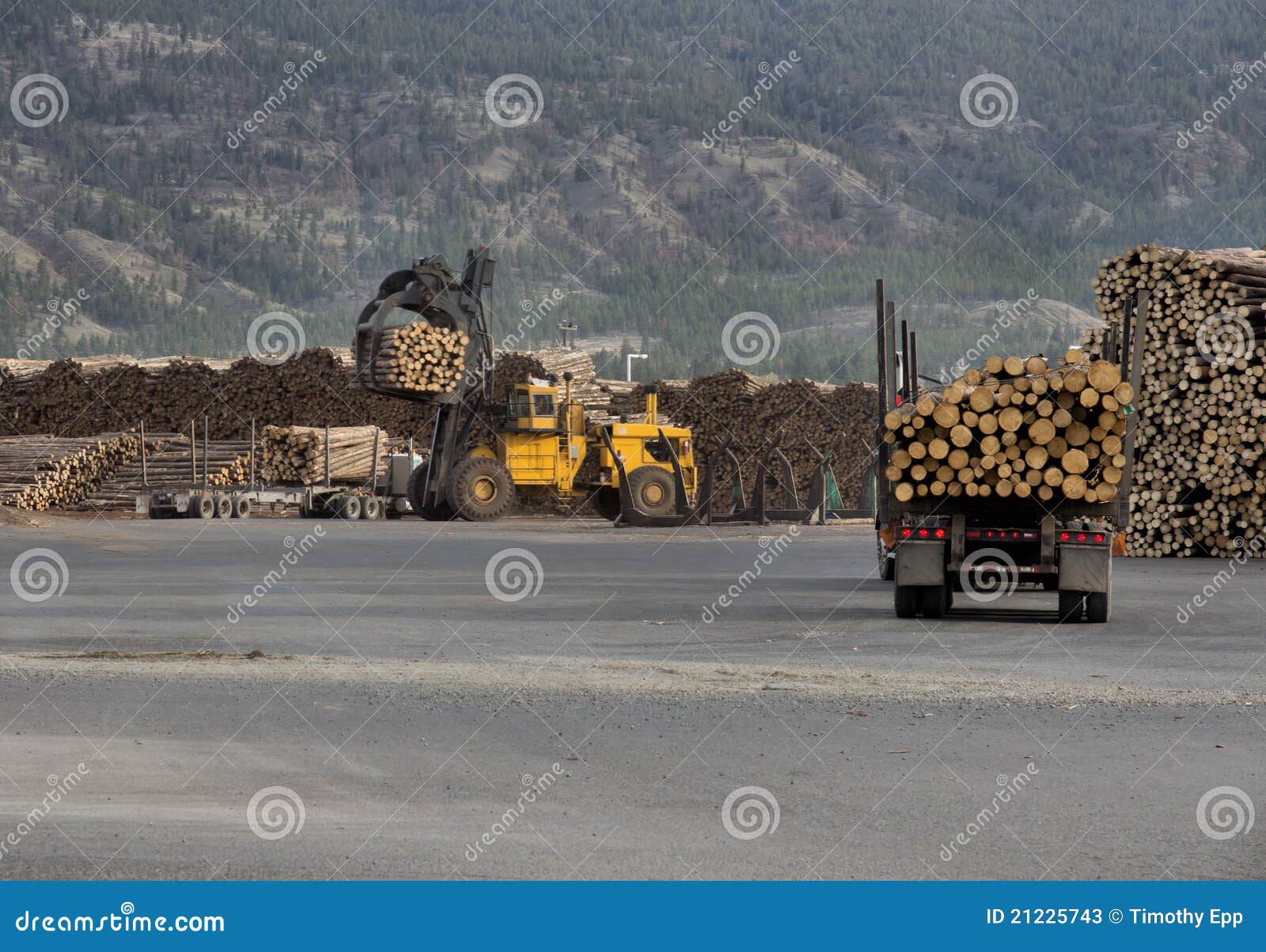 Logging Trucks unloading stock image. Image of logs, industrial - 21225743