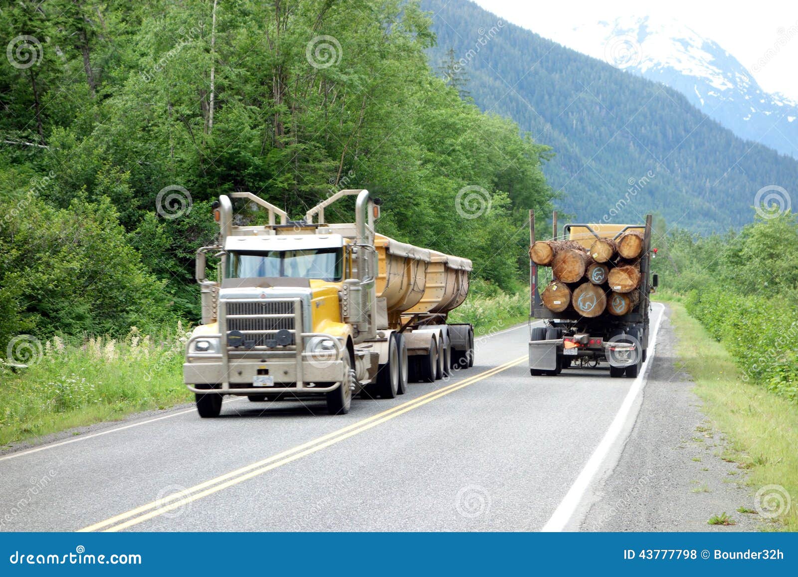 Logging Trucks At Work