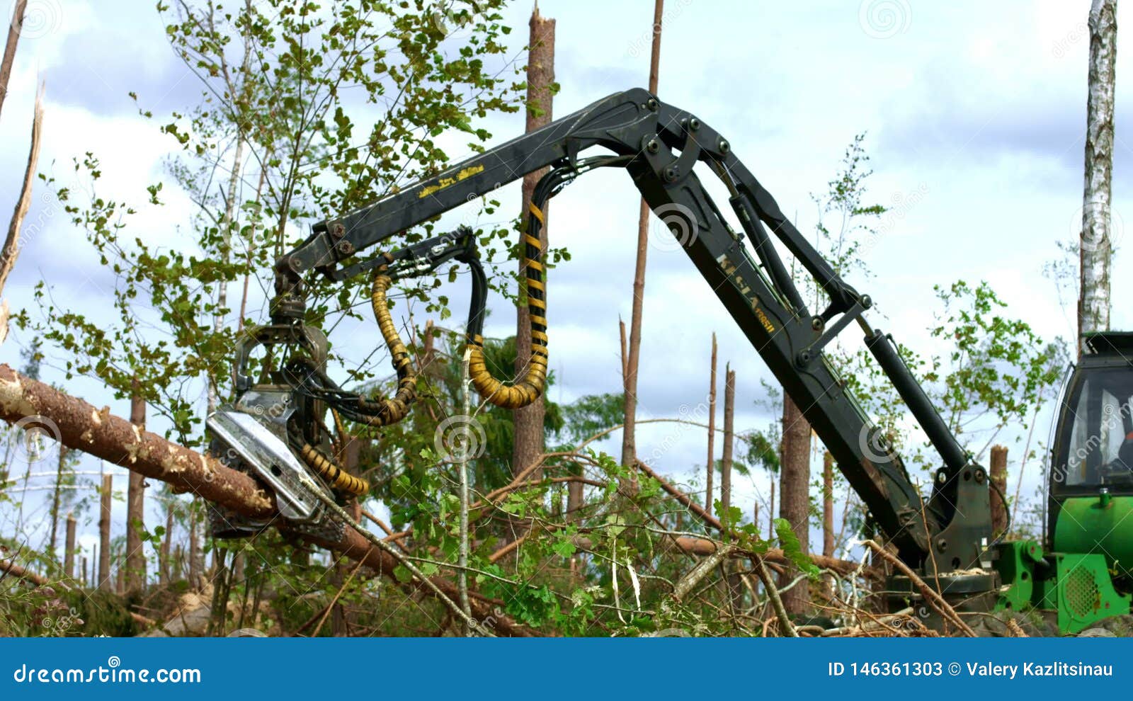Logger with Robotic Arm Lifting and Sawing Logs in Forest ...