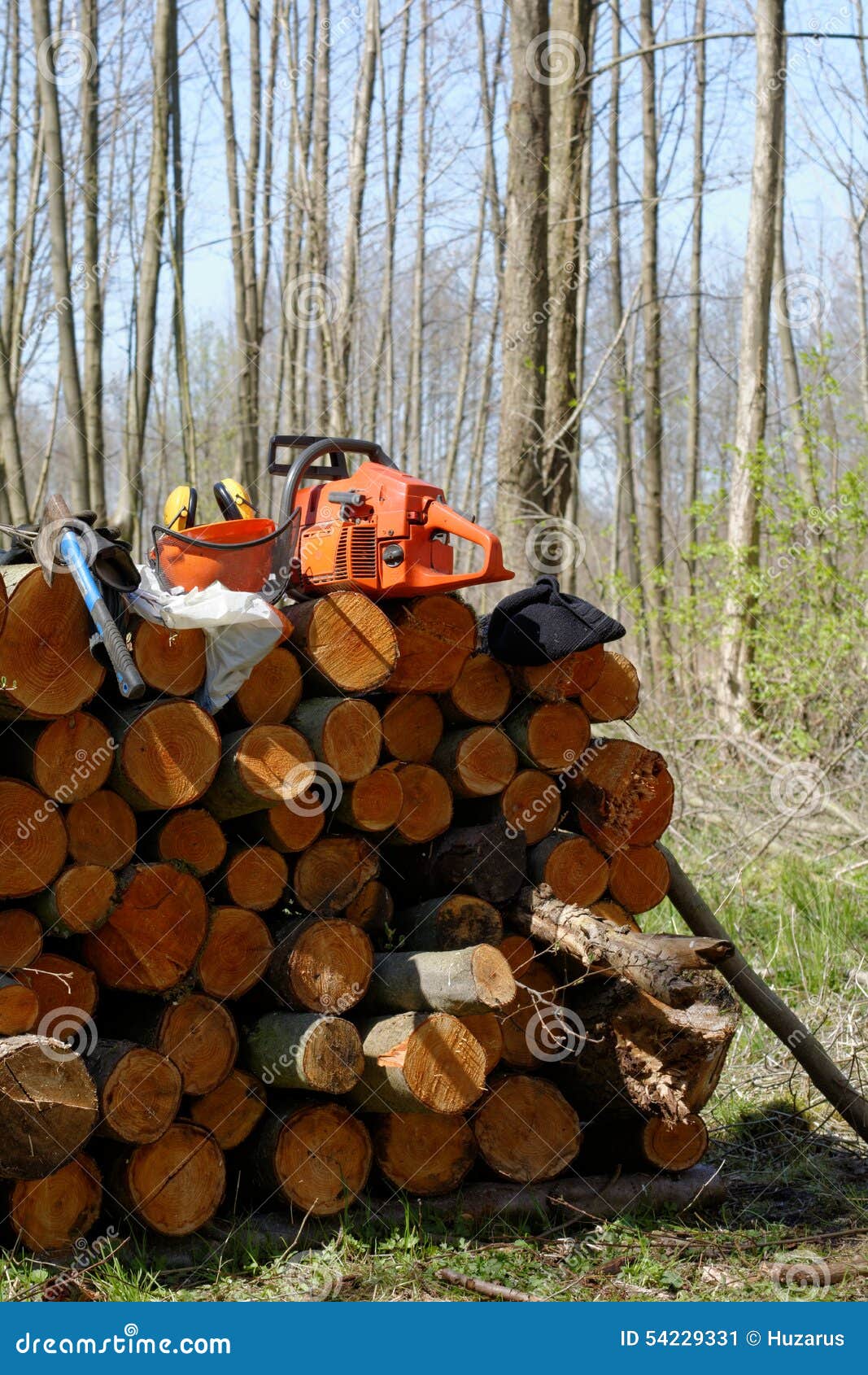 Chopping Alder Firewood With Ax - Log Pile In Background Royalty-Free ...