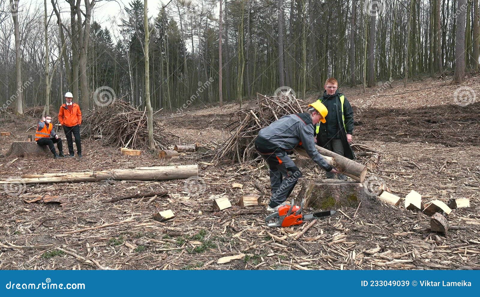 A Logging Worker Places a Log for Processing. the Manager Says the Work ...