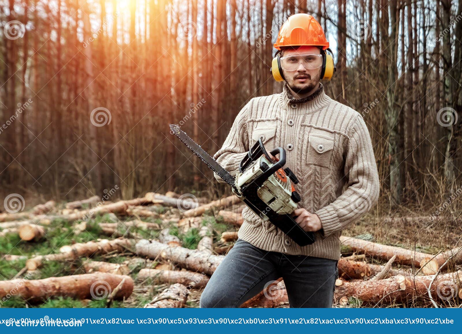 Logging, Worker in a Protective Suit with a Chainsaw. Cutting Down ...