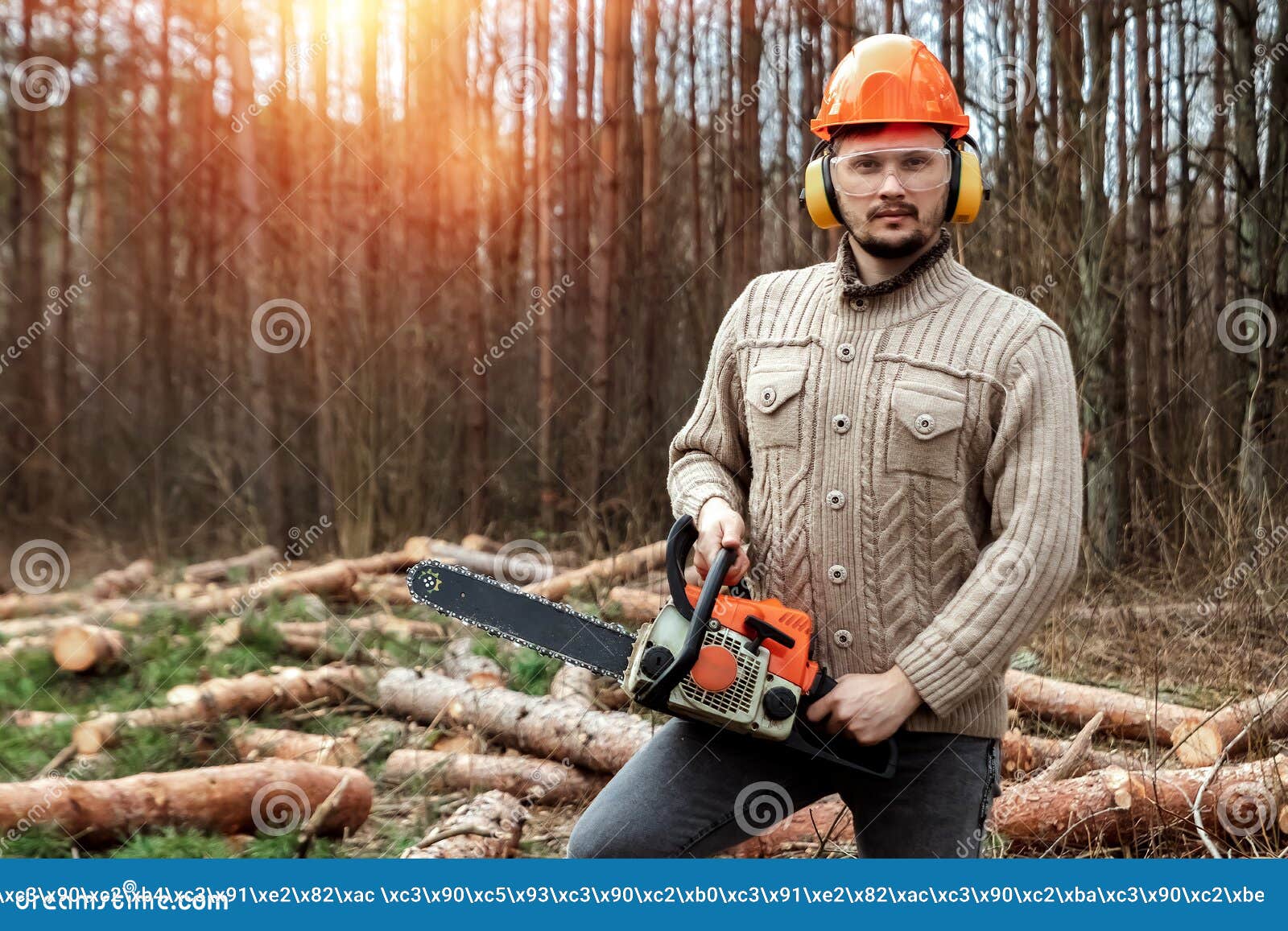 Logging, Worker in a Protective Suit with a Chainsaw. Cutting Down ...