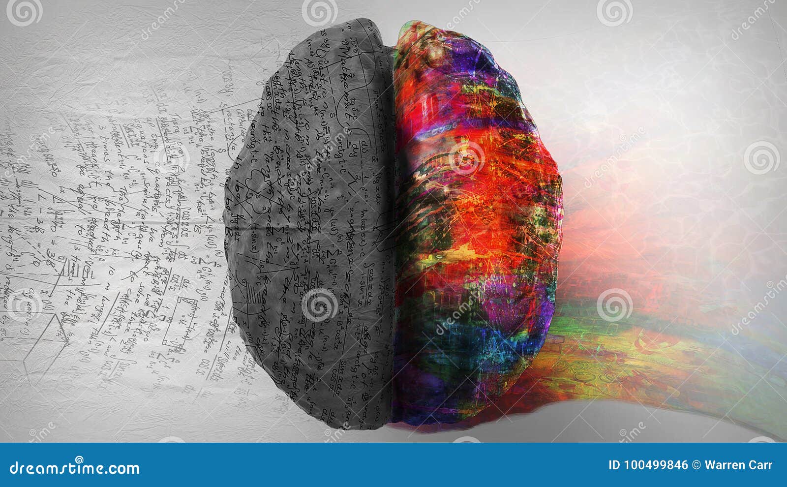 Logic Vs. Creativity - Right Side / Left Side of Human Brain Stock ...