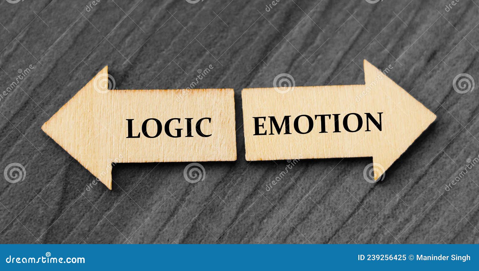Logic vs emotion signs stock image. Image of directions - 239256425