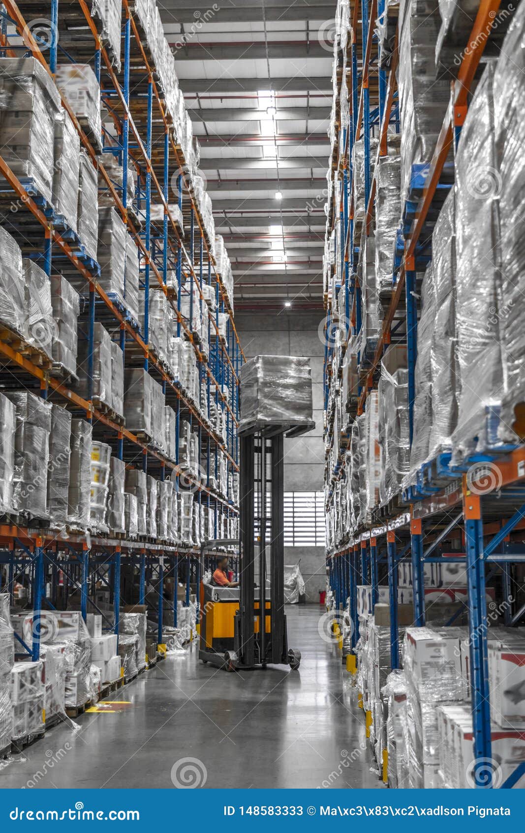 Logistic Shed and Distribution Boxes Workers and Forklift in Operation ...