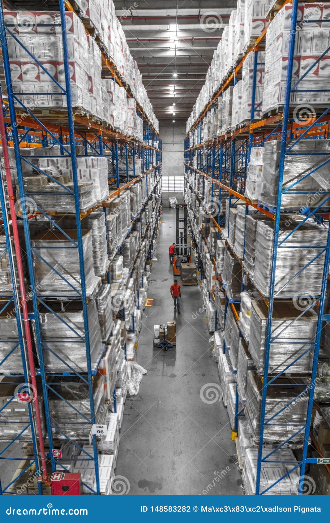 Logistic Shed and Distribution Boxes Workers and Forklift in Operation ...