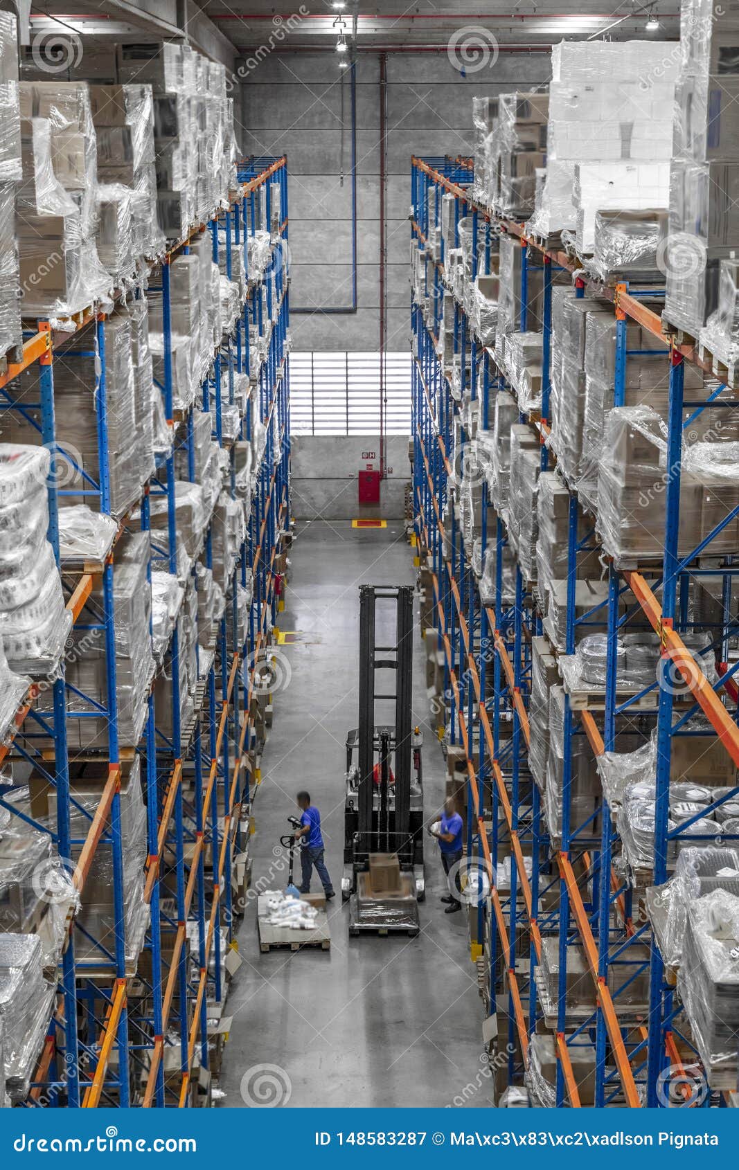Logistic Shed And Distribution Boxes Workers And Forklift In Operation ...