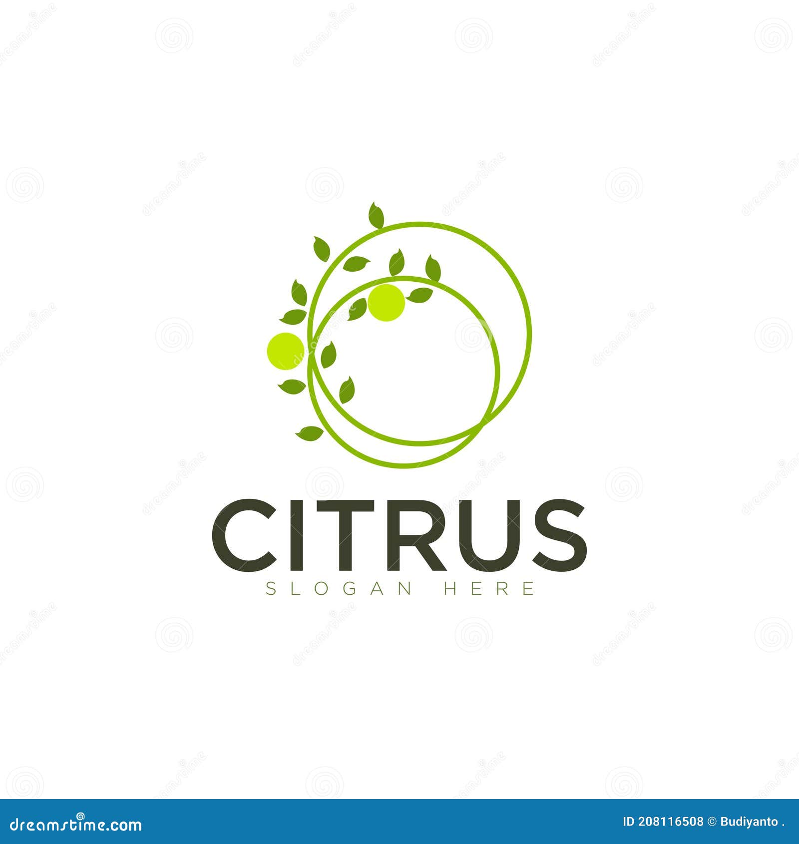 Logo Citrus with Recycle Twig Stock Vector - Illustration of orange ...