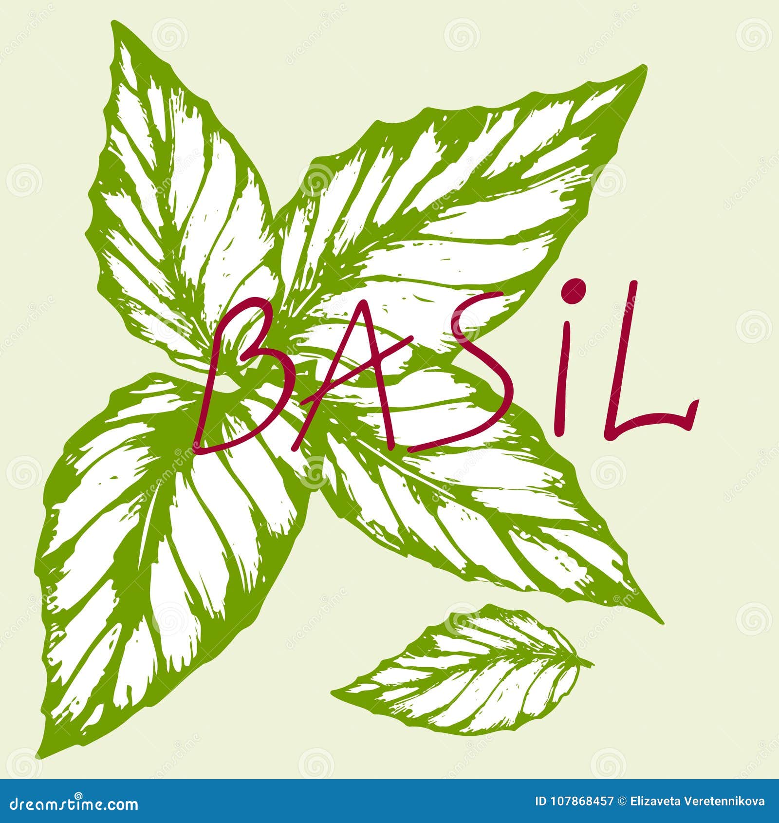 Logo basil stock vector. Illustration of healthy, food - 107868457