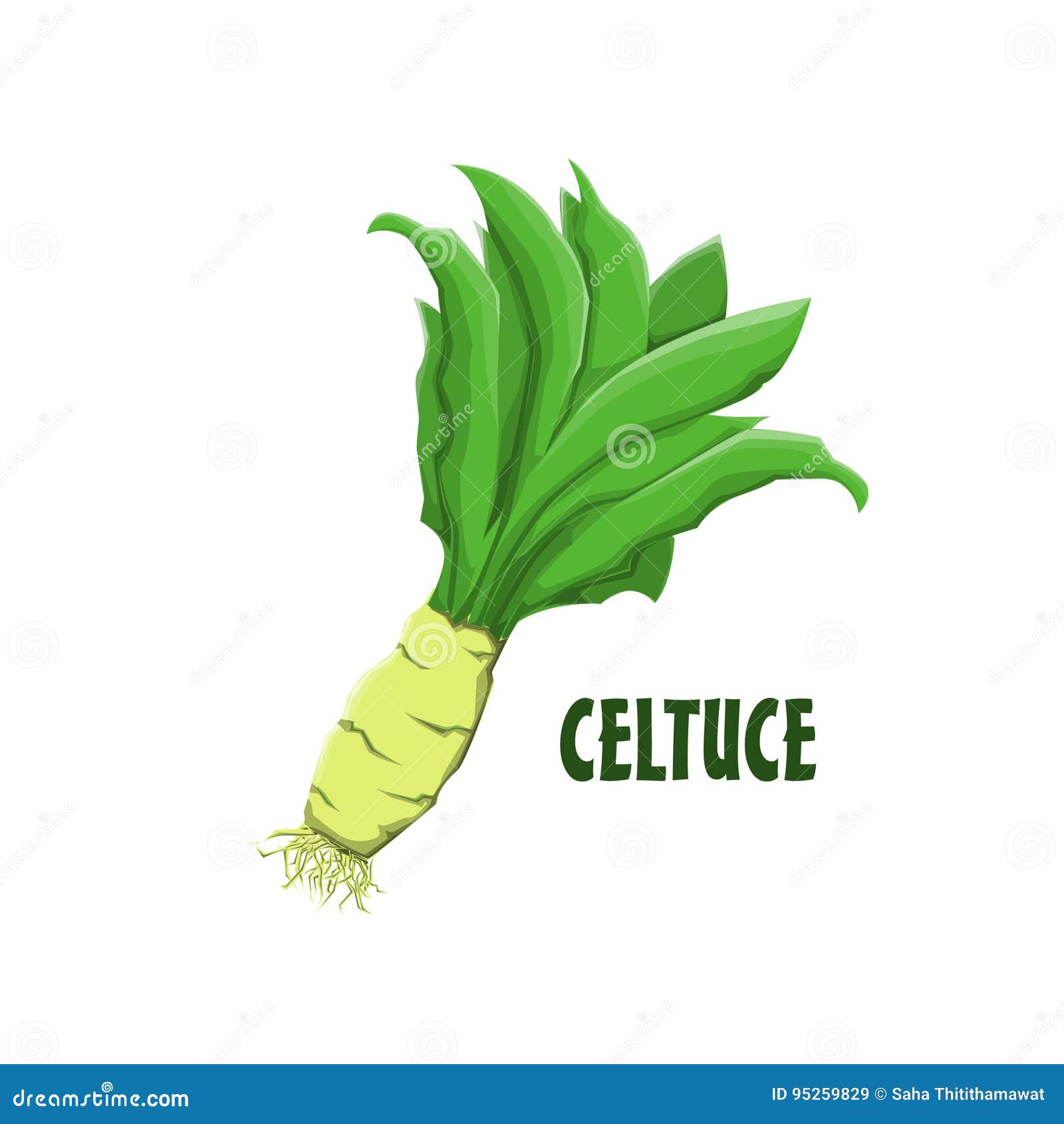 Celtuce Stock Illustrations – 22 Celtuce Stock Illustrations, Vectors ...