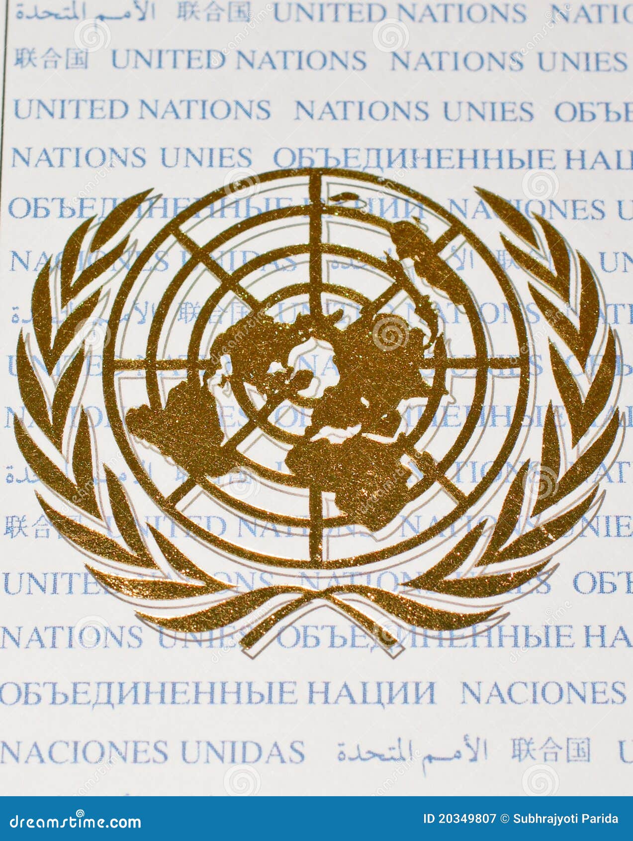 Logo D'or De Couleur D'organisation Des Nations Unies Photographie ...