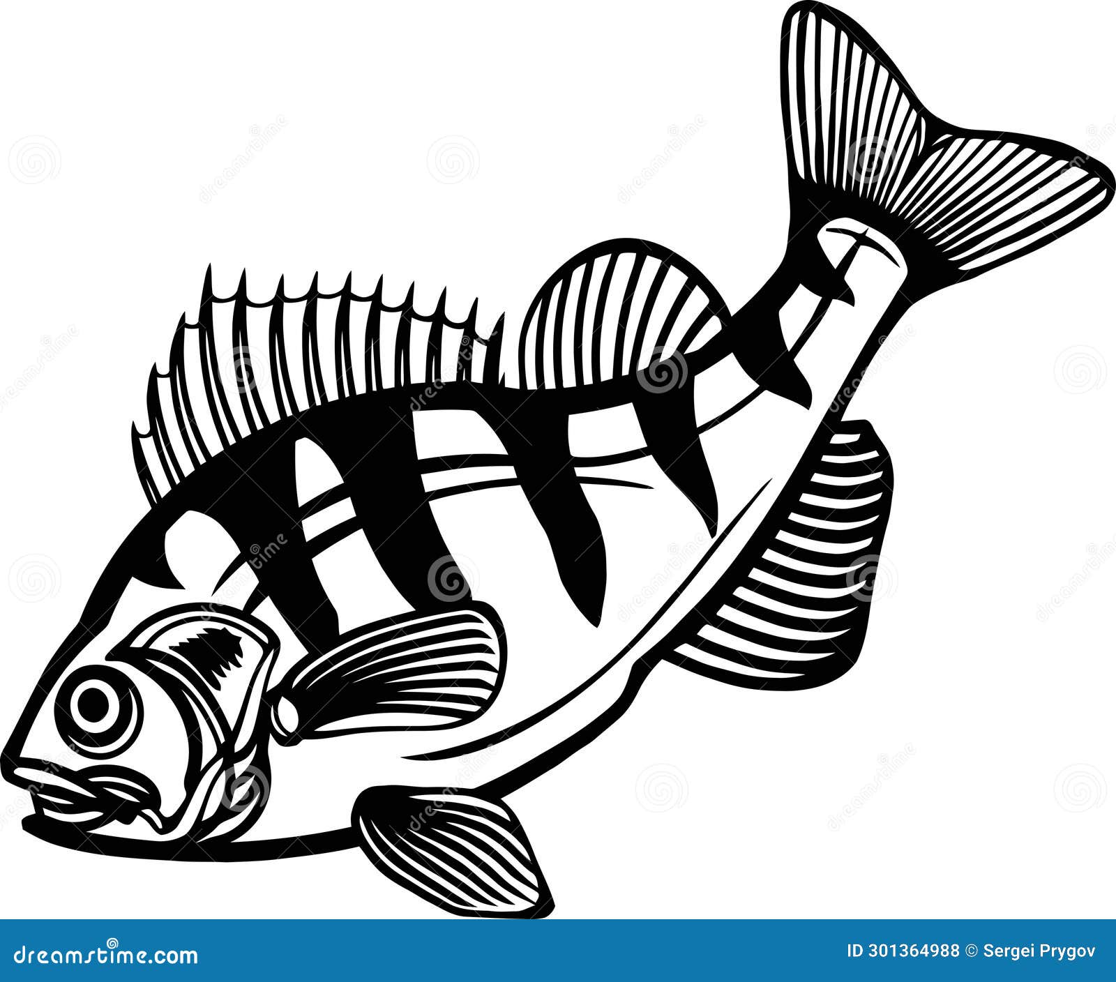 Logo De Perch American Fish Foto de archivo - Ilustración de cubo ...