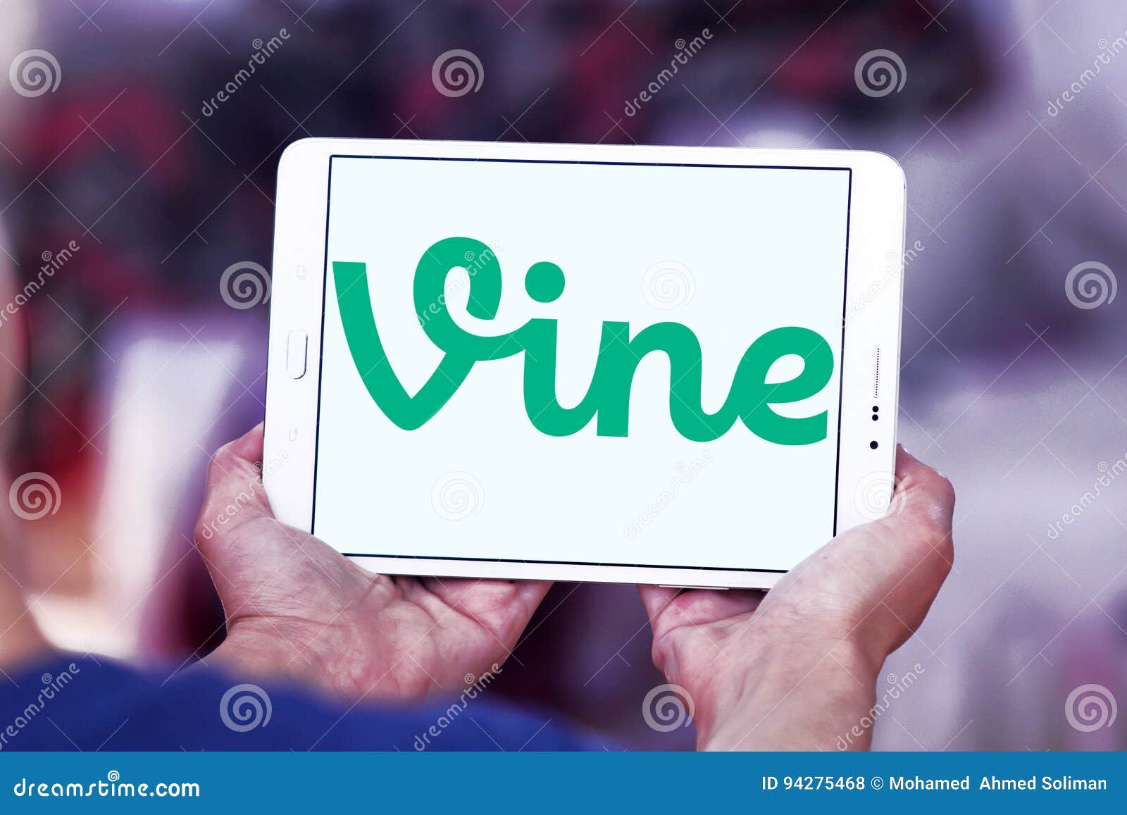 Logo della vite fotografia stock editoriale. Immagine di vettore - 94275468