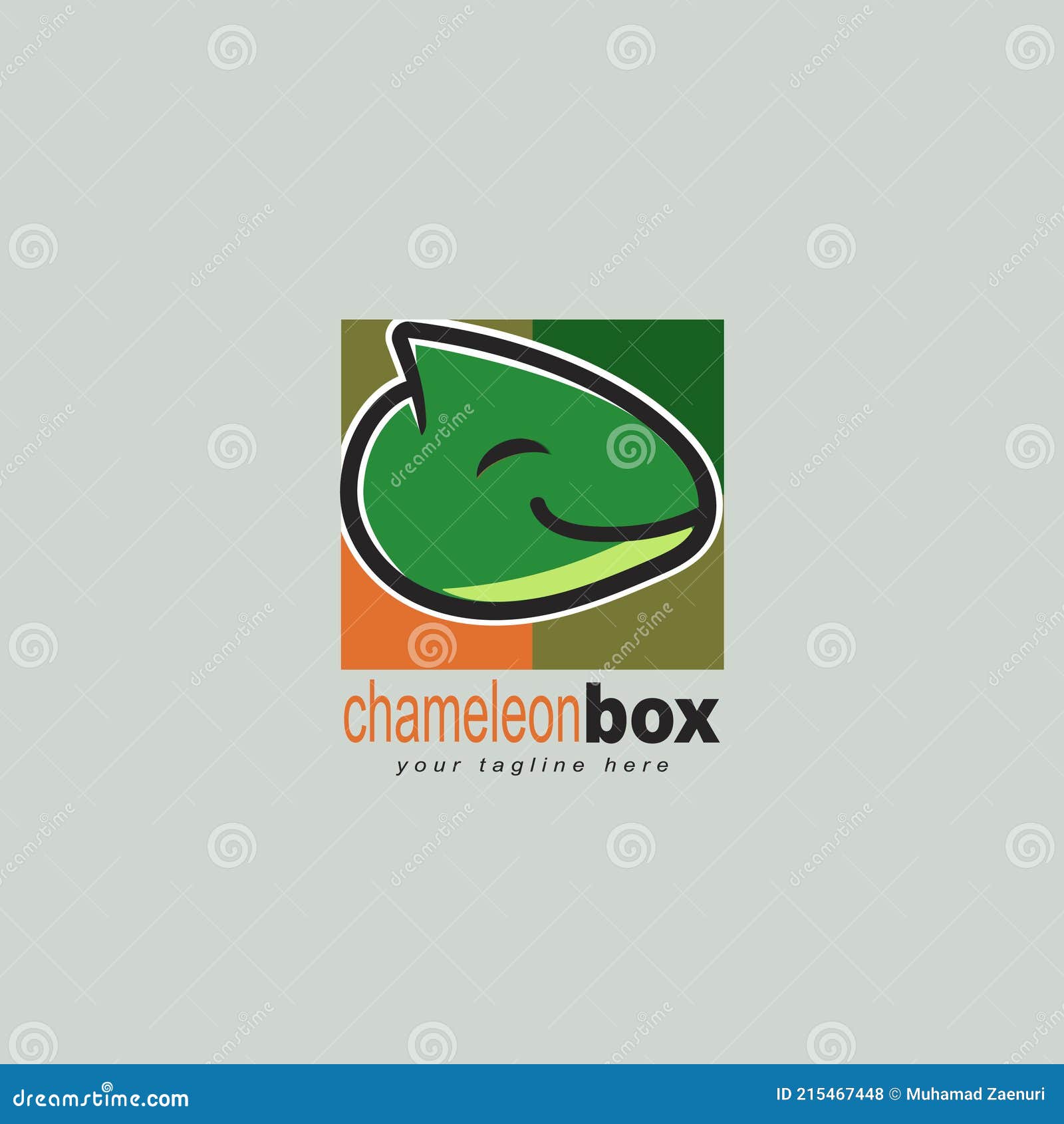 Chameleon box. stock vector. Illustration of design - 215467448