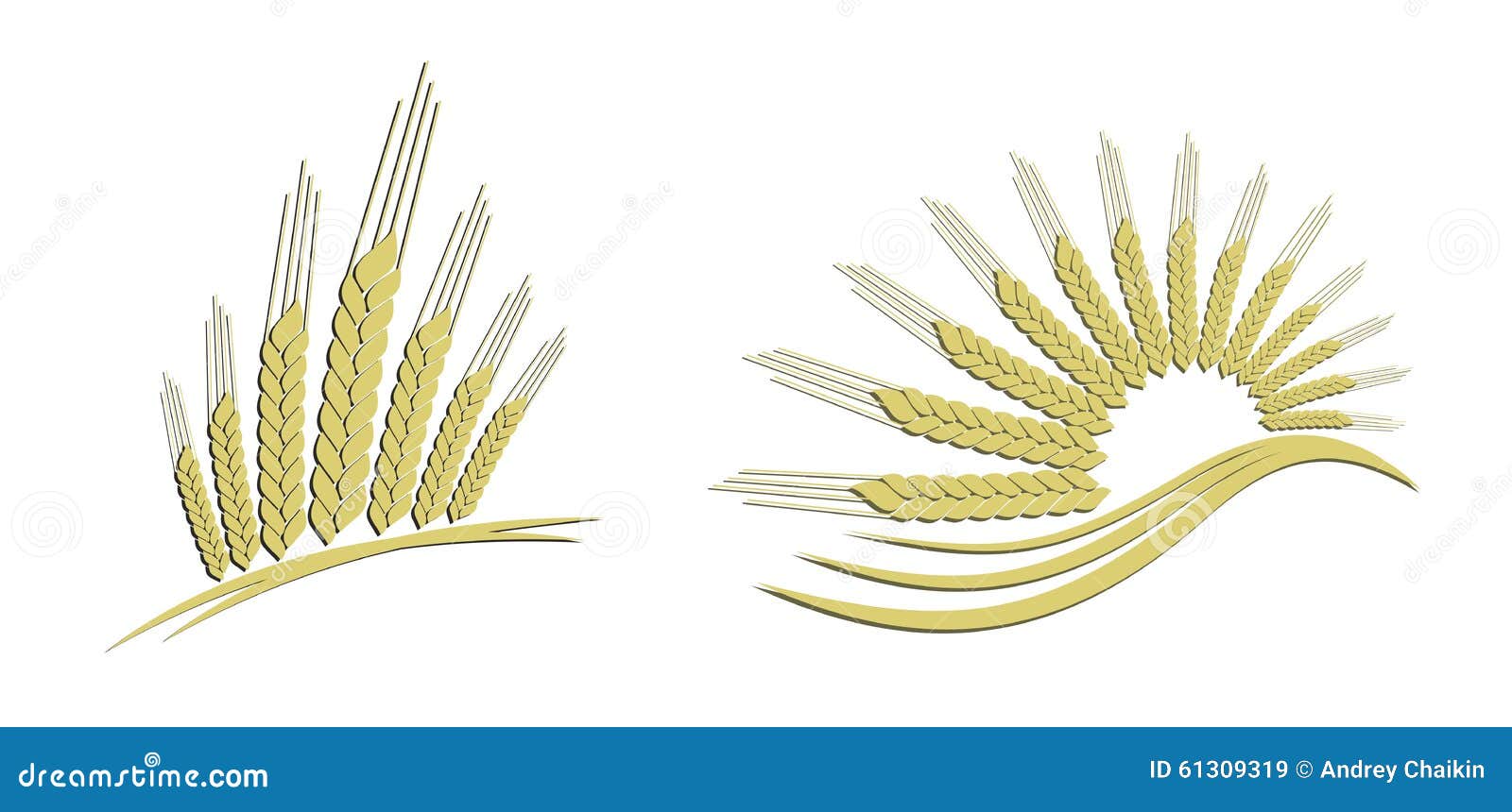 Gold Wheat Field On Transparent Background Vector Illustration ...